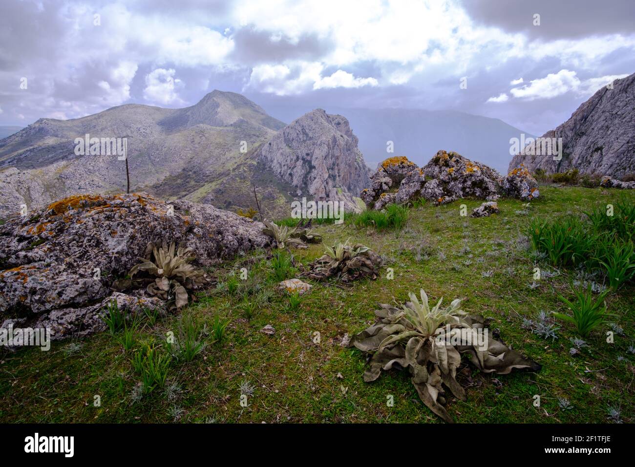 Cueva del boquete de zafarraya hi-res stock photography and images - Alamy