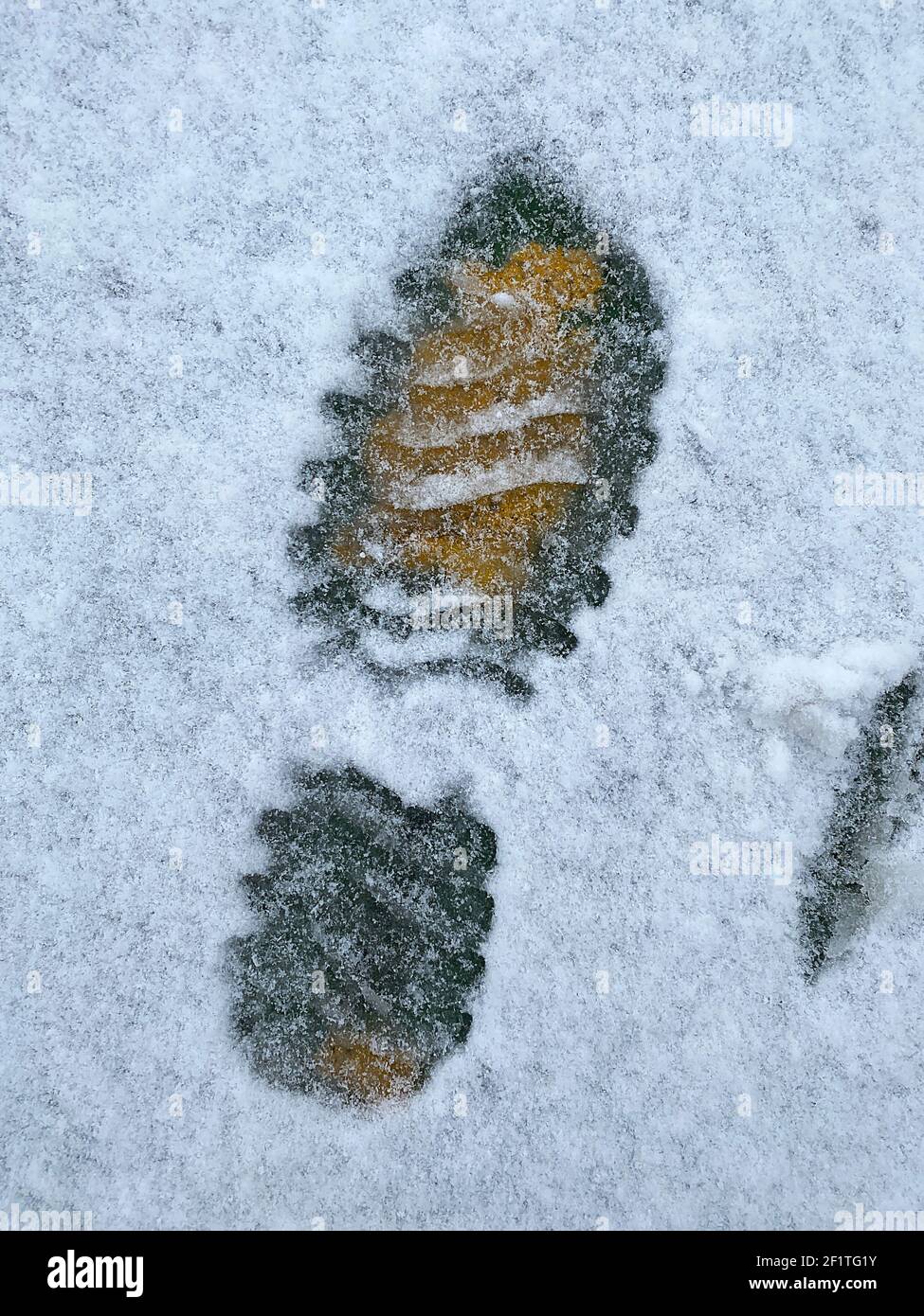 Boot foot print showing tred marks in some newly fallen snow, Brooklyn ...