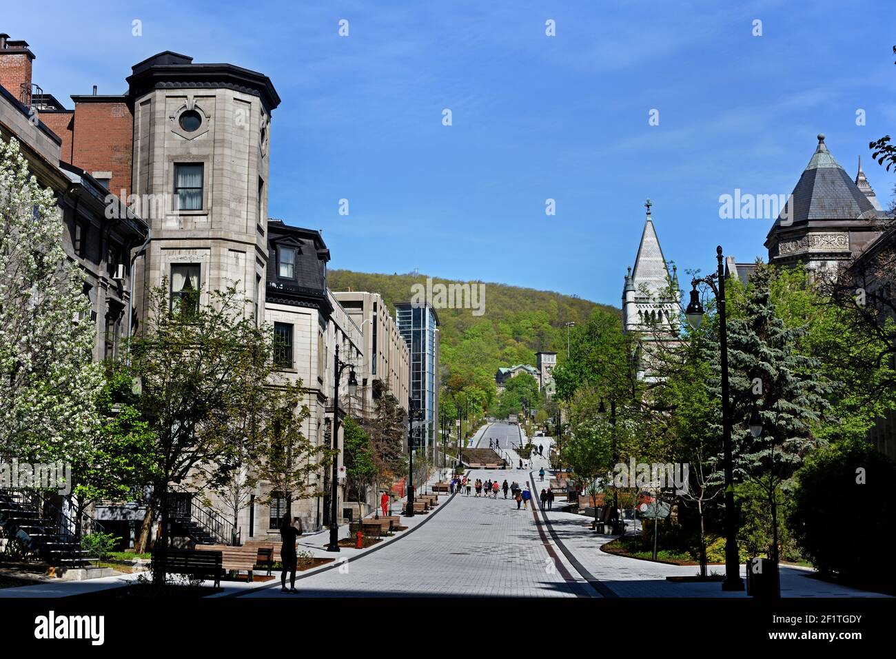 McGill University Montreal, Canada, Canadian, Province, Quebec ...