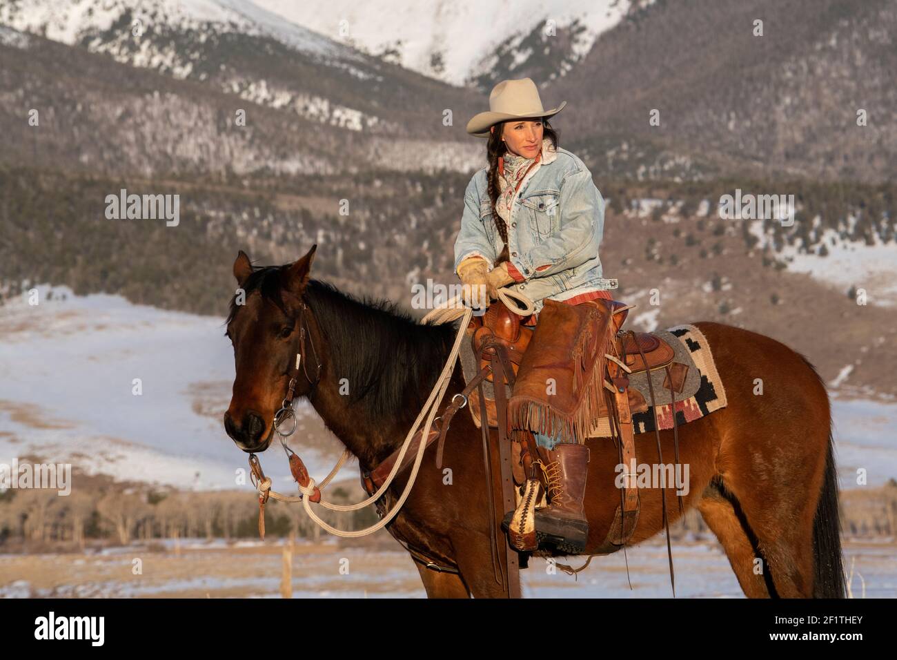 USA, Colorado, Westcliffe, Music Meadows Ranch. Female ranch hand in ...