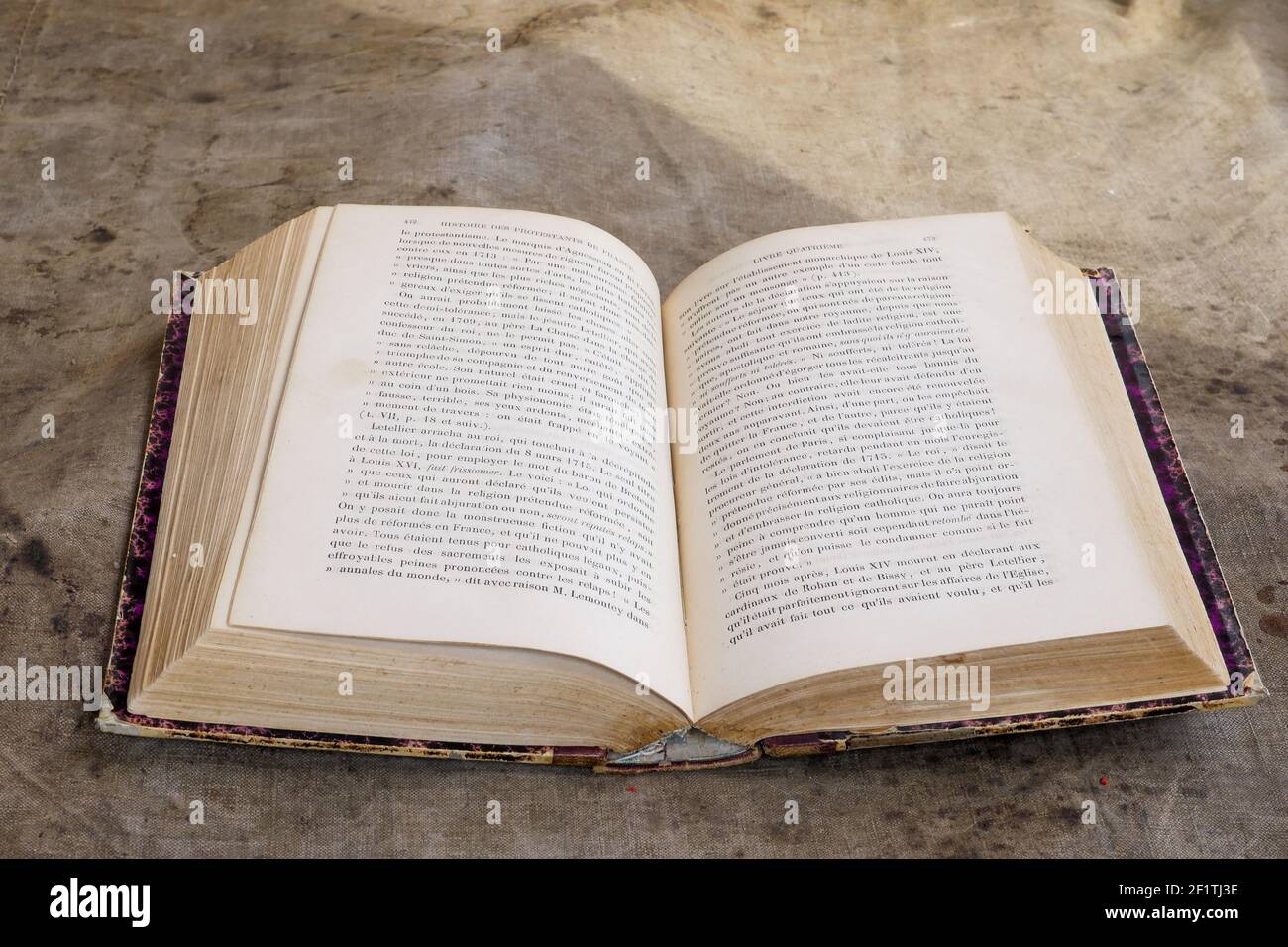 History of the french Protestants, France, 1874 Stock Photo - Alamy