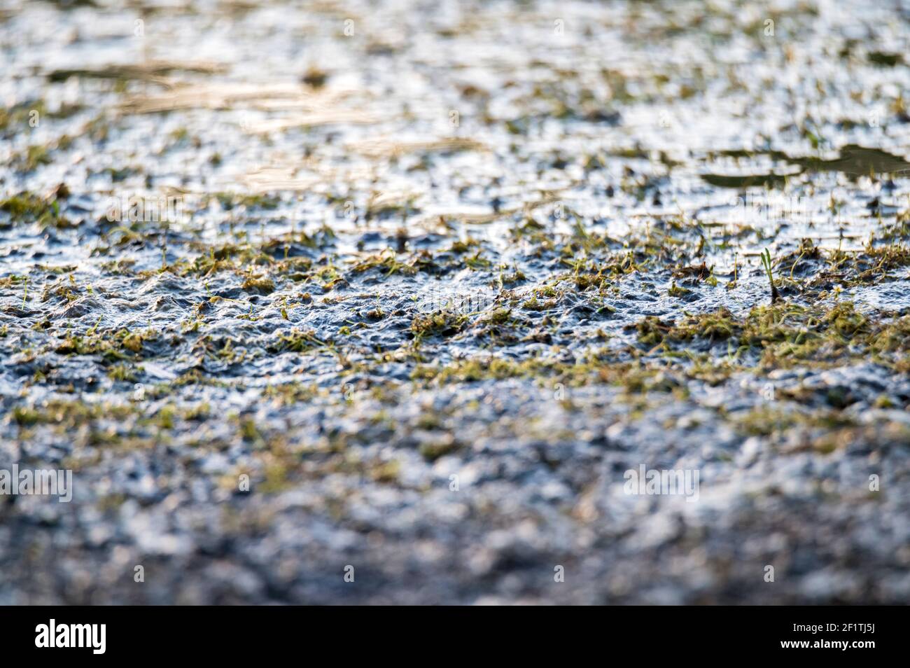 Dirty Mud texture or wet gray soil as natural background Stock Photo ...
