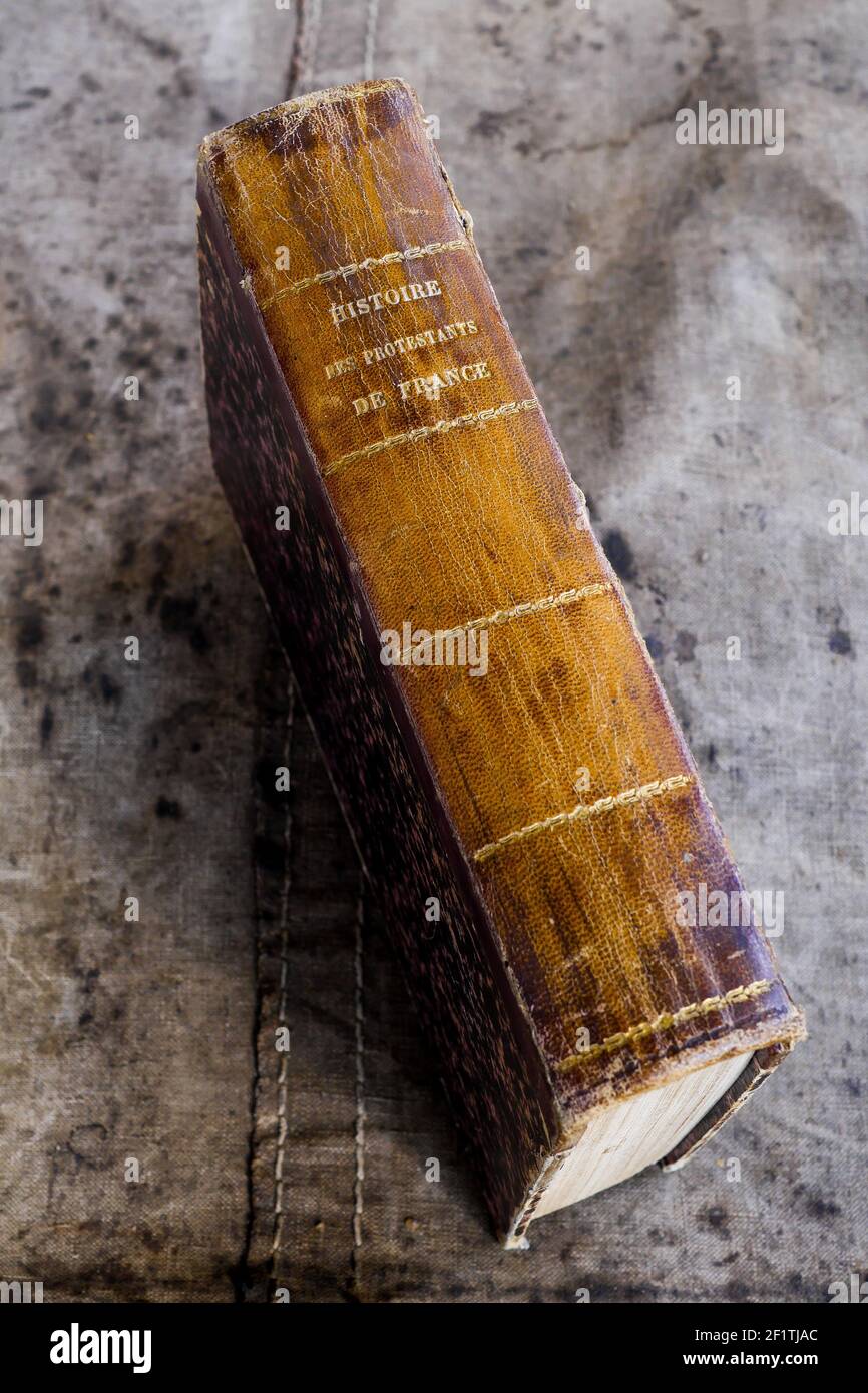 History of the french Protestants, France, 1874 Stock Photo - Alamy