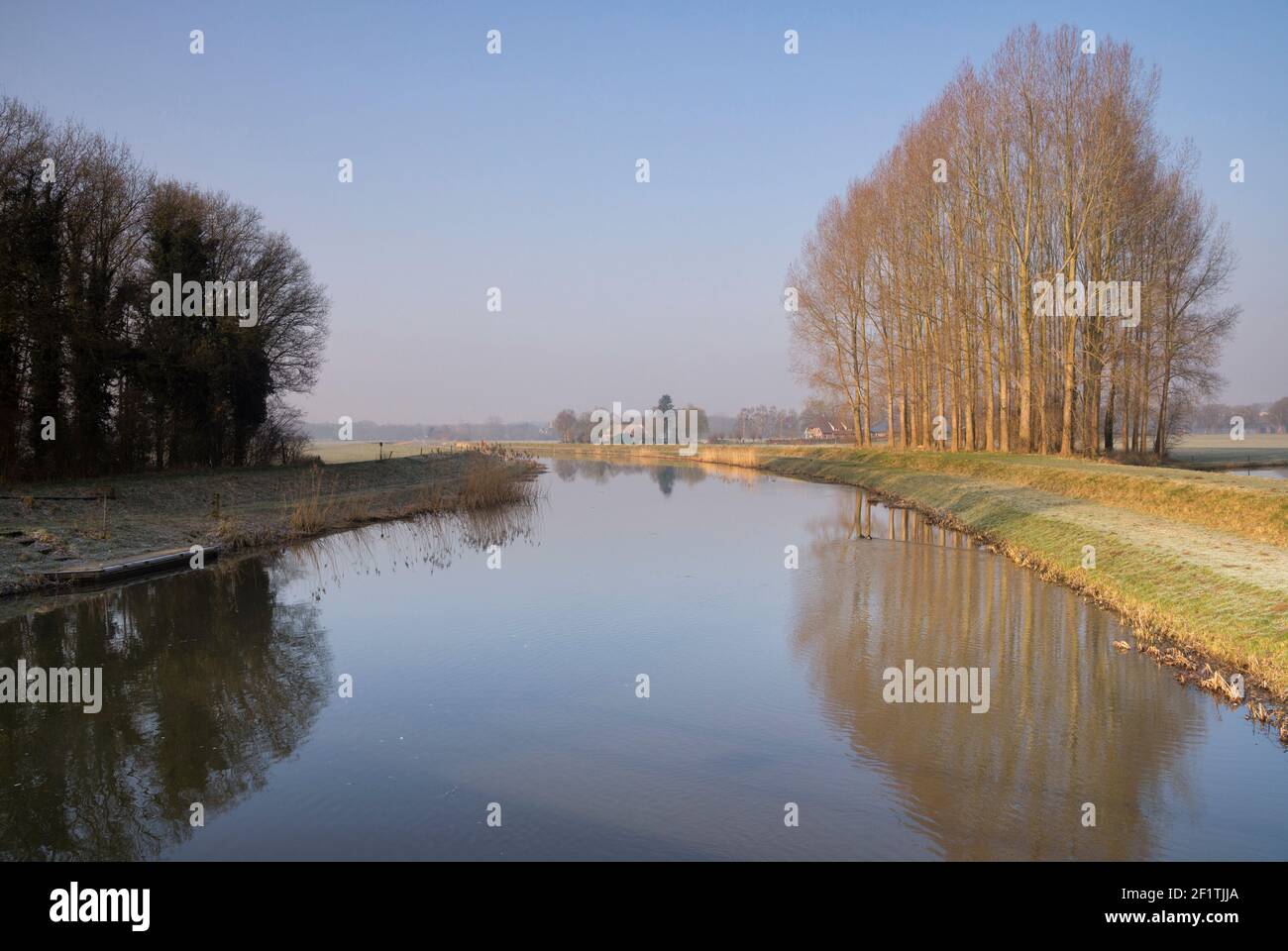 Trees along a river Stock Photo - Alamy