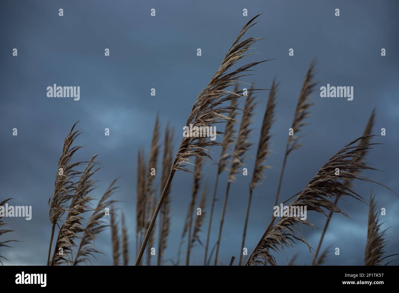 Windy dark blue sky hi-res stock photography and images - Alamy
