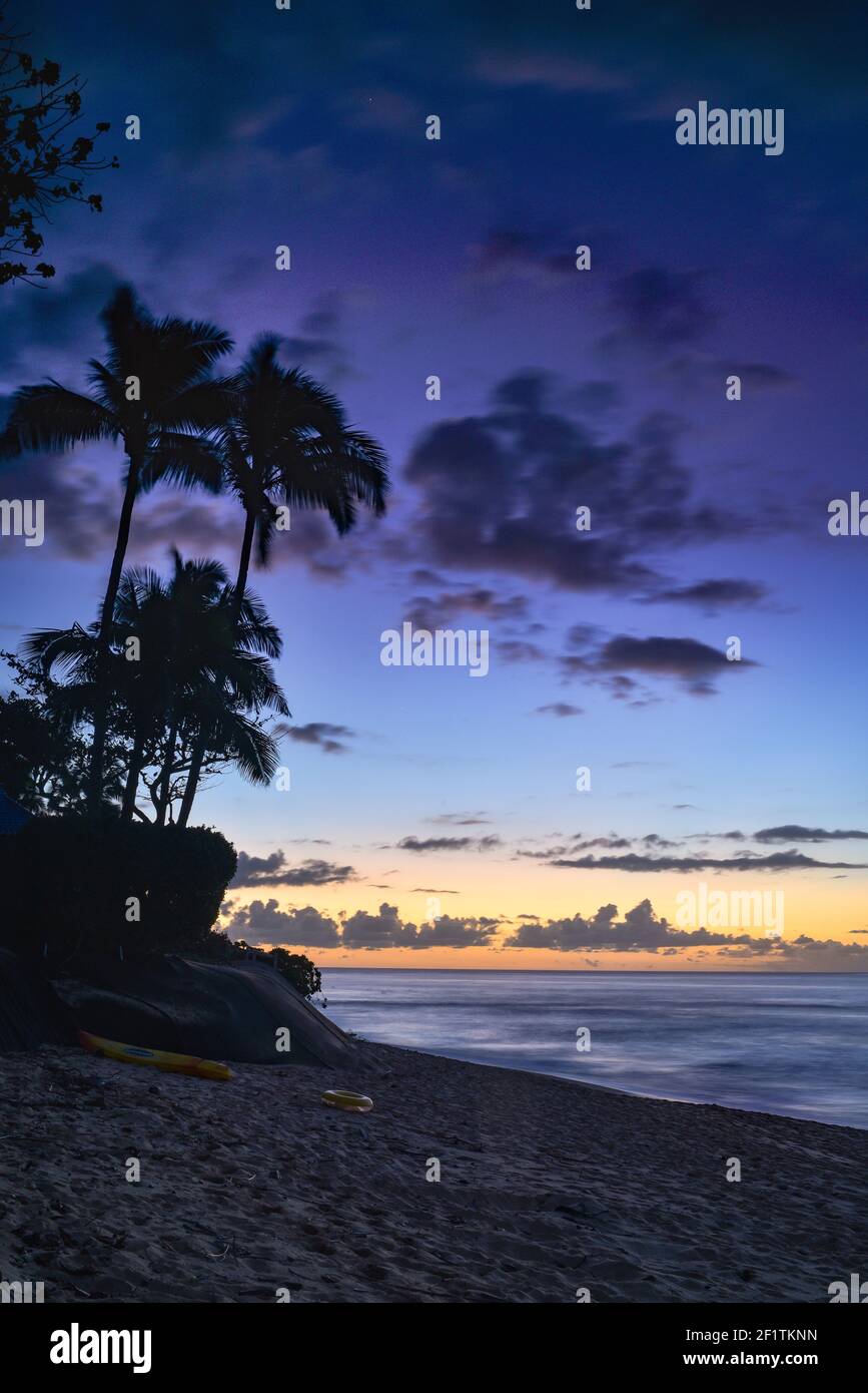 Spectacular sunset at Sunset Beach, North Shore, with silhouetted palm ...