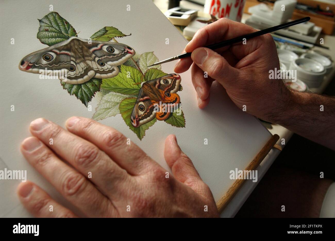 Richard lewington hi-res stock photography and images - Alamy