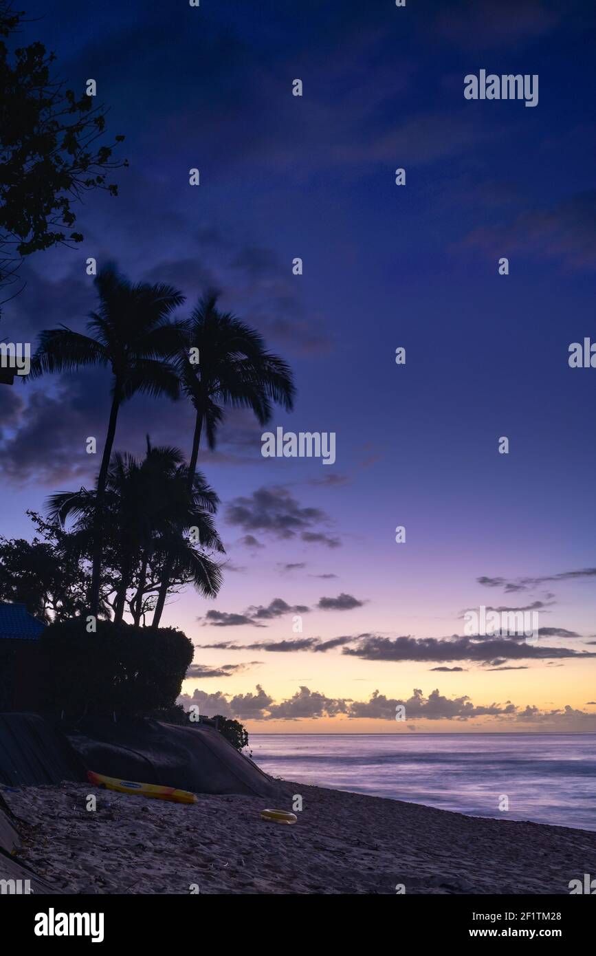 Spectacular sunset at Sunset Beach, North Shore, with silhouetted palm ...