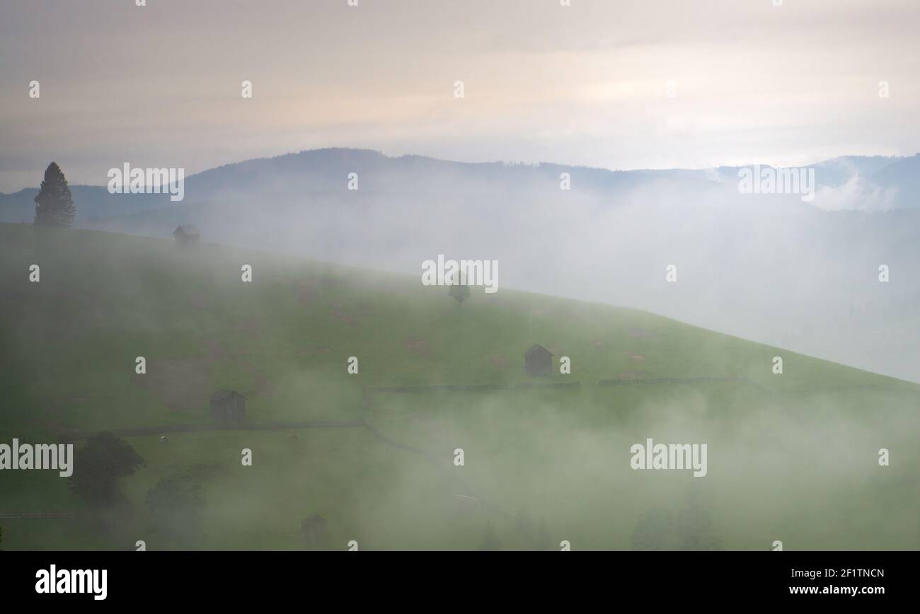 Mist over forest hills hi-res stock photography and images - Alamy