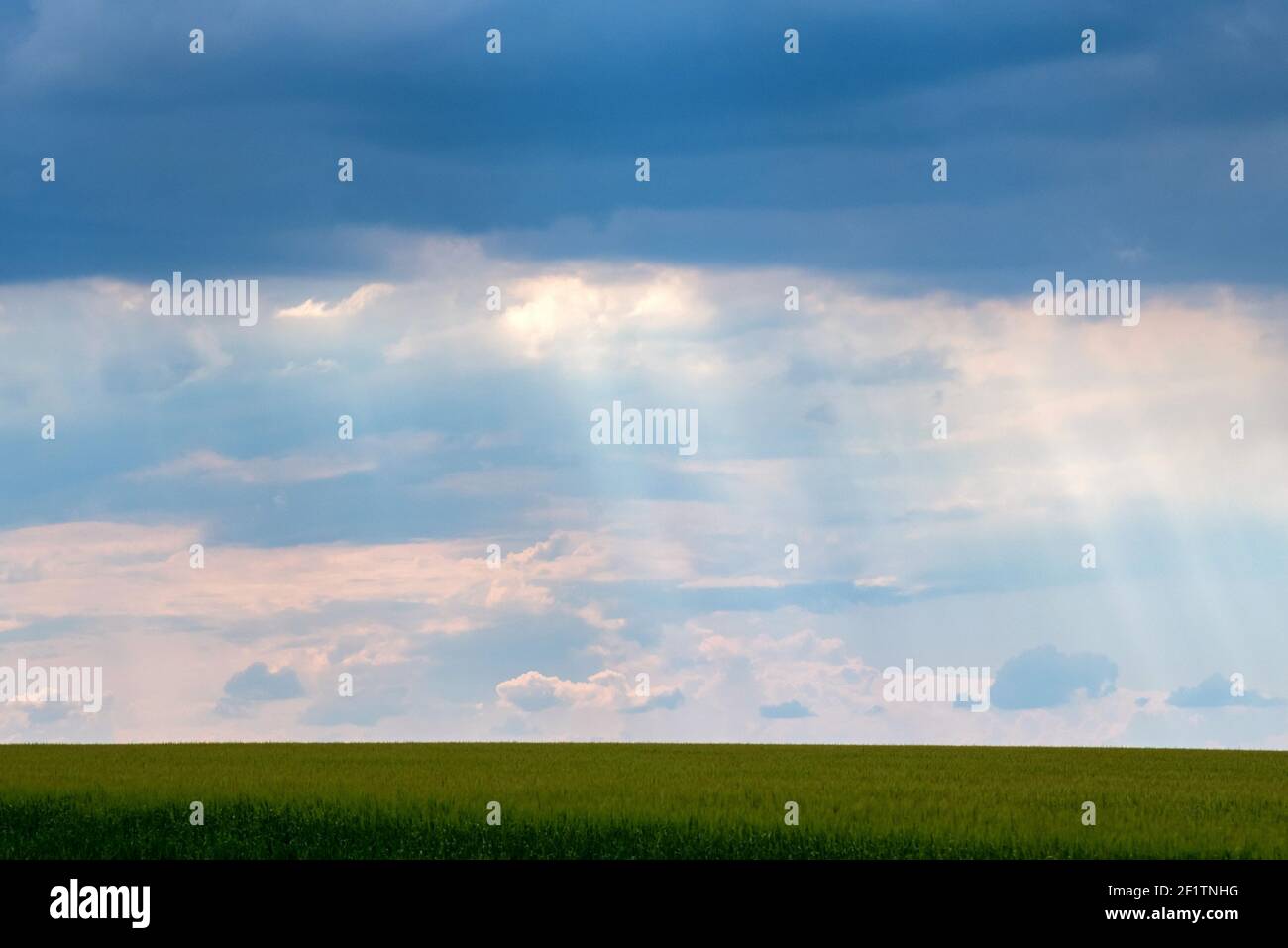 Beautiful natural background with skyscape and cumulus clouds over the ...