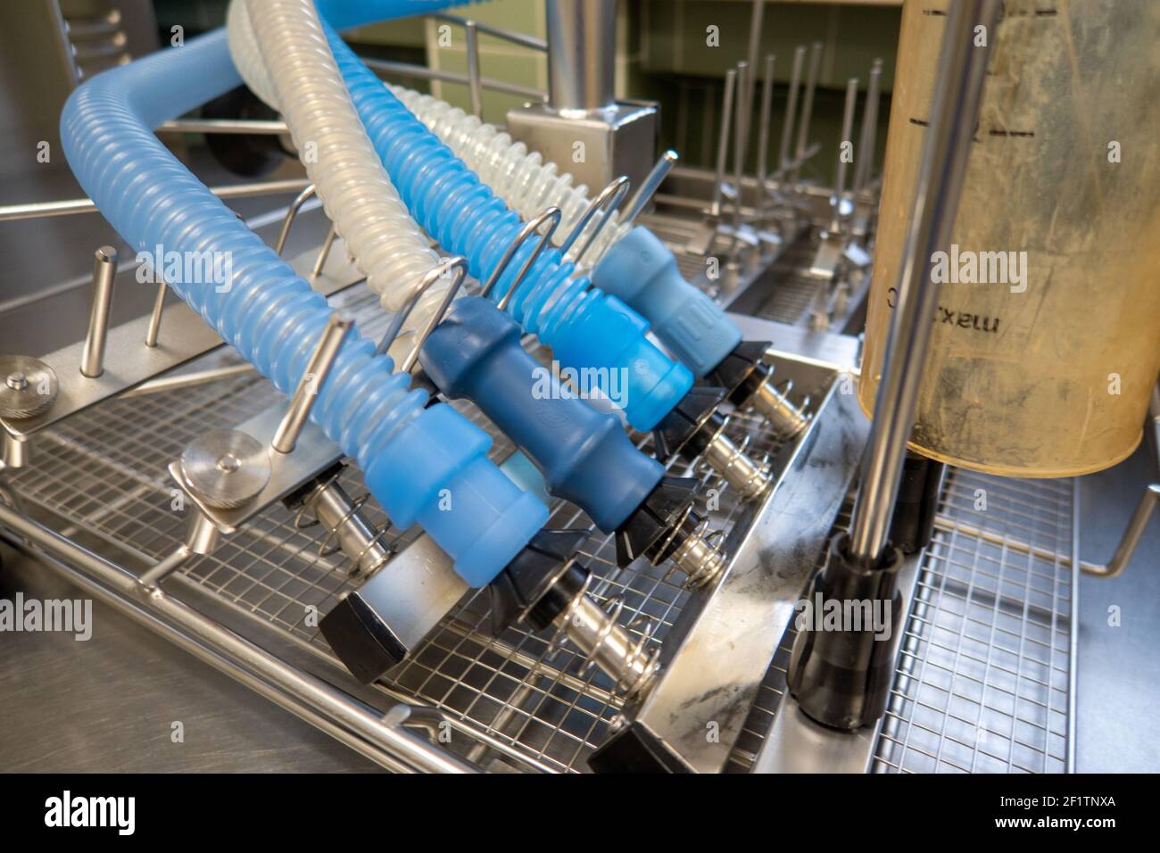 in a sterilization department of a hospital, anesthesia tubes are ...