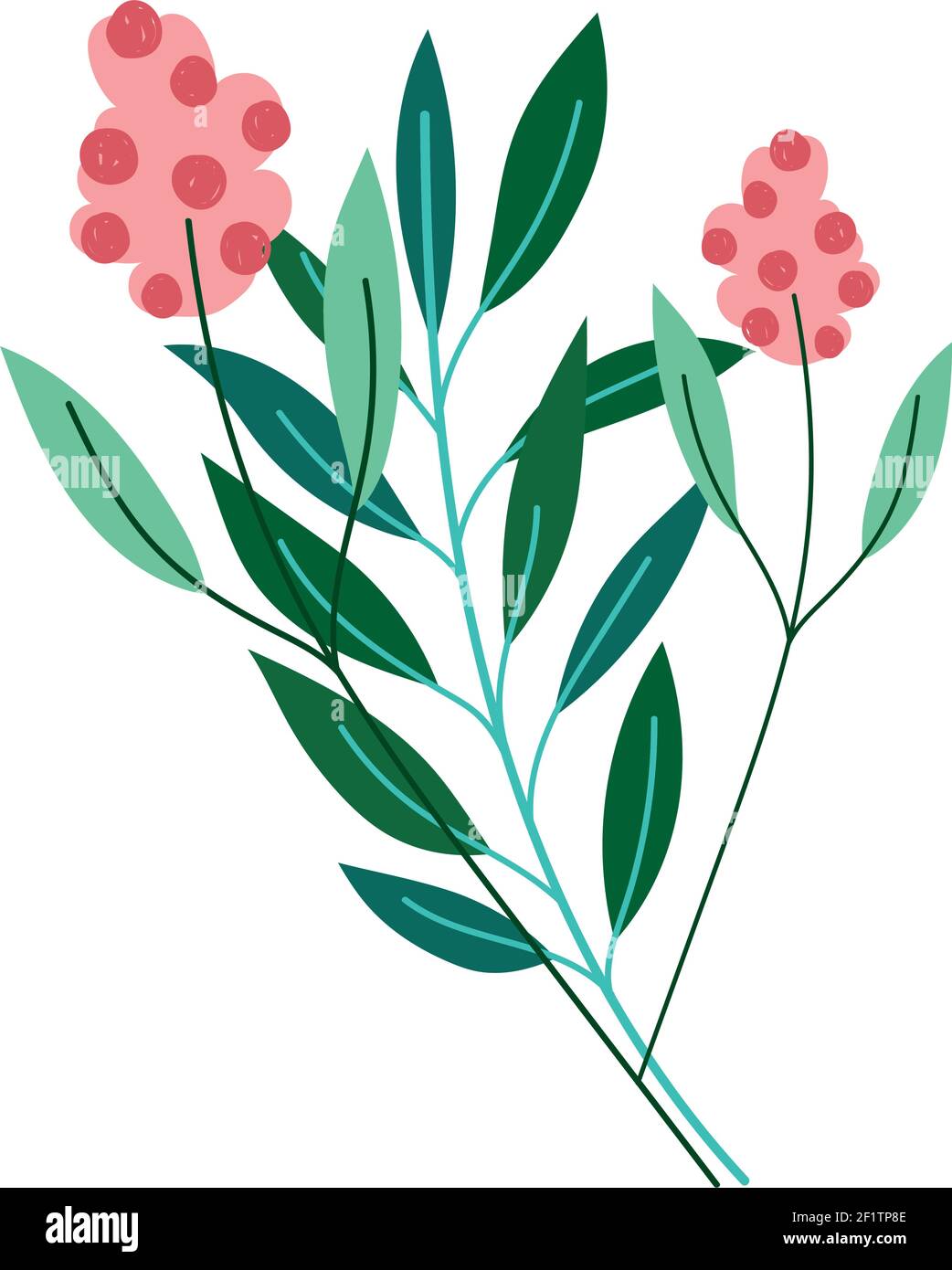 flowers stem leaves nature botanical Stock Vector Image & Art - Alamy