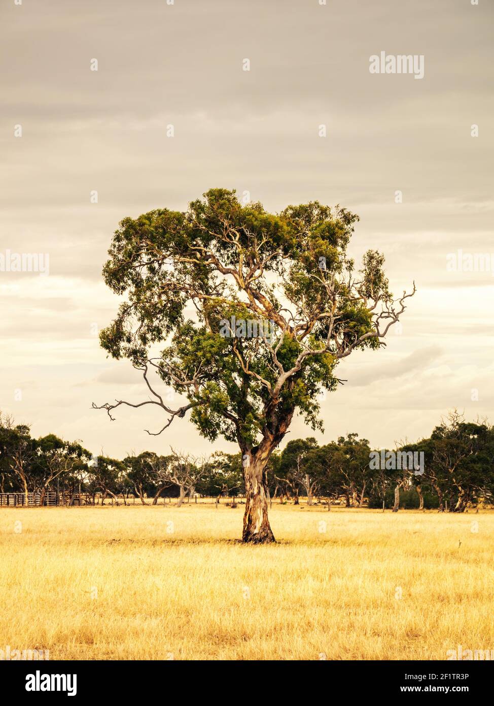 Australian scenery hi-res stock photography and images - Alamy