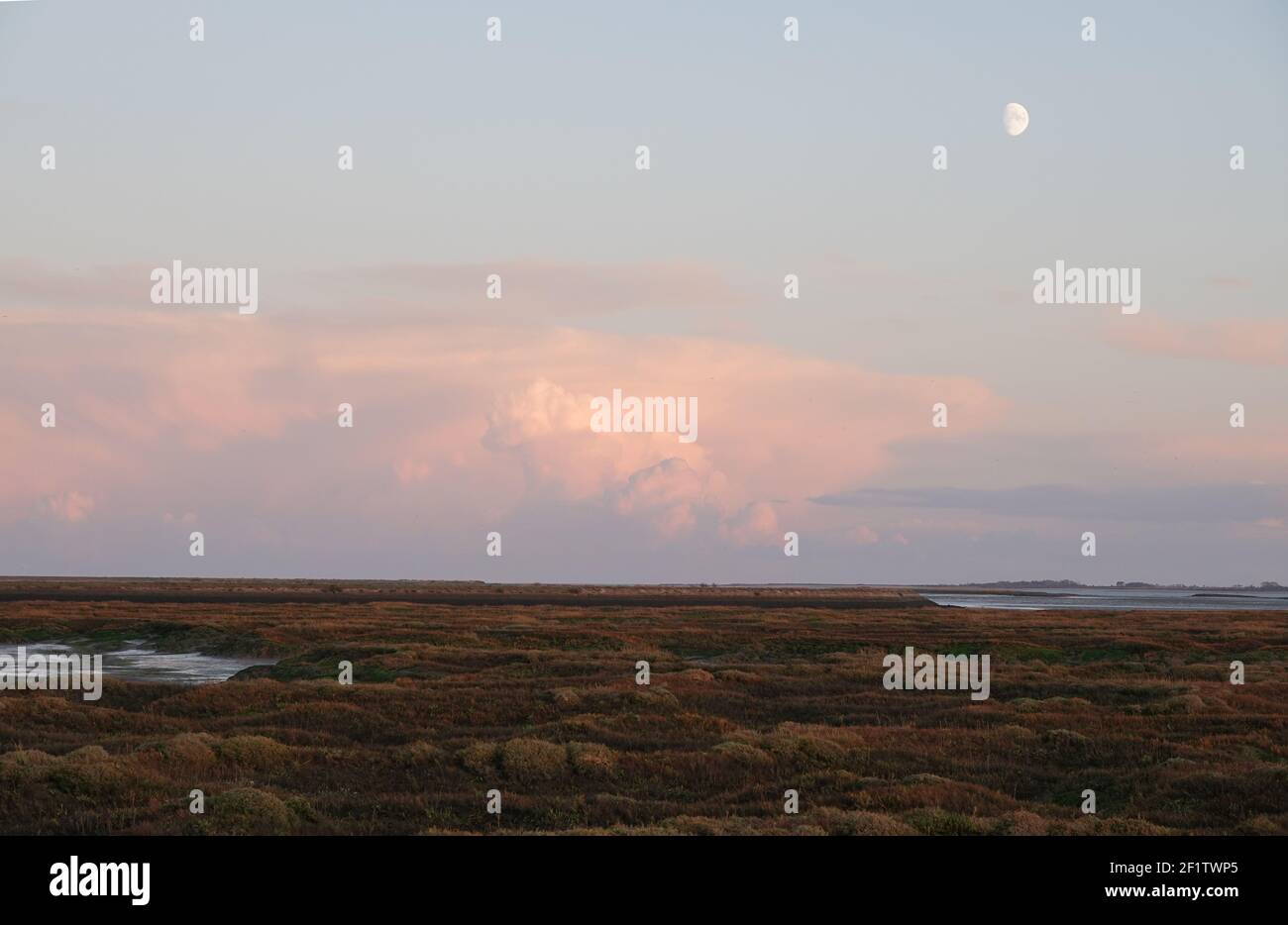 A light pink sky over a large field Stock Photo - Alamy