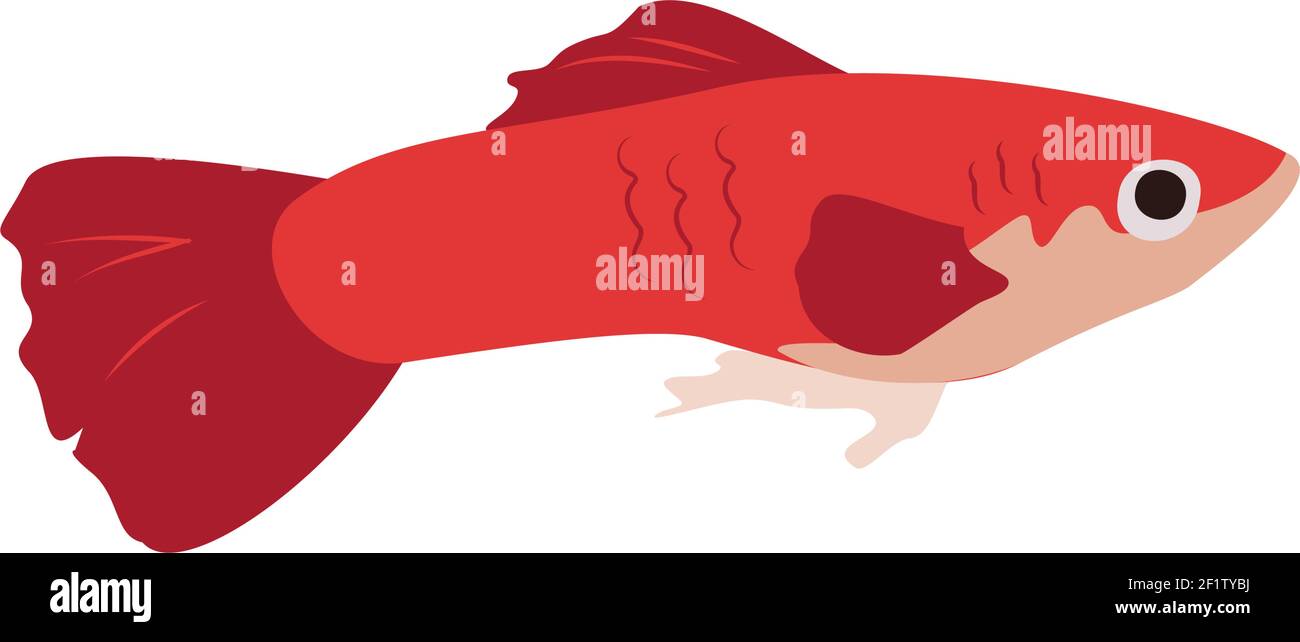 Bright icons of red fish Stock Vector Image & Art - Alamy