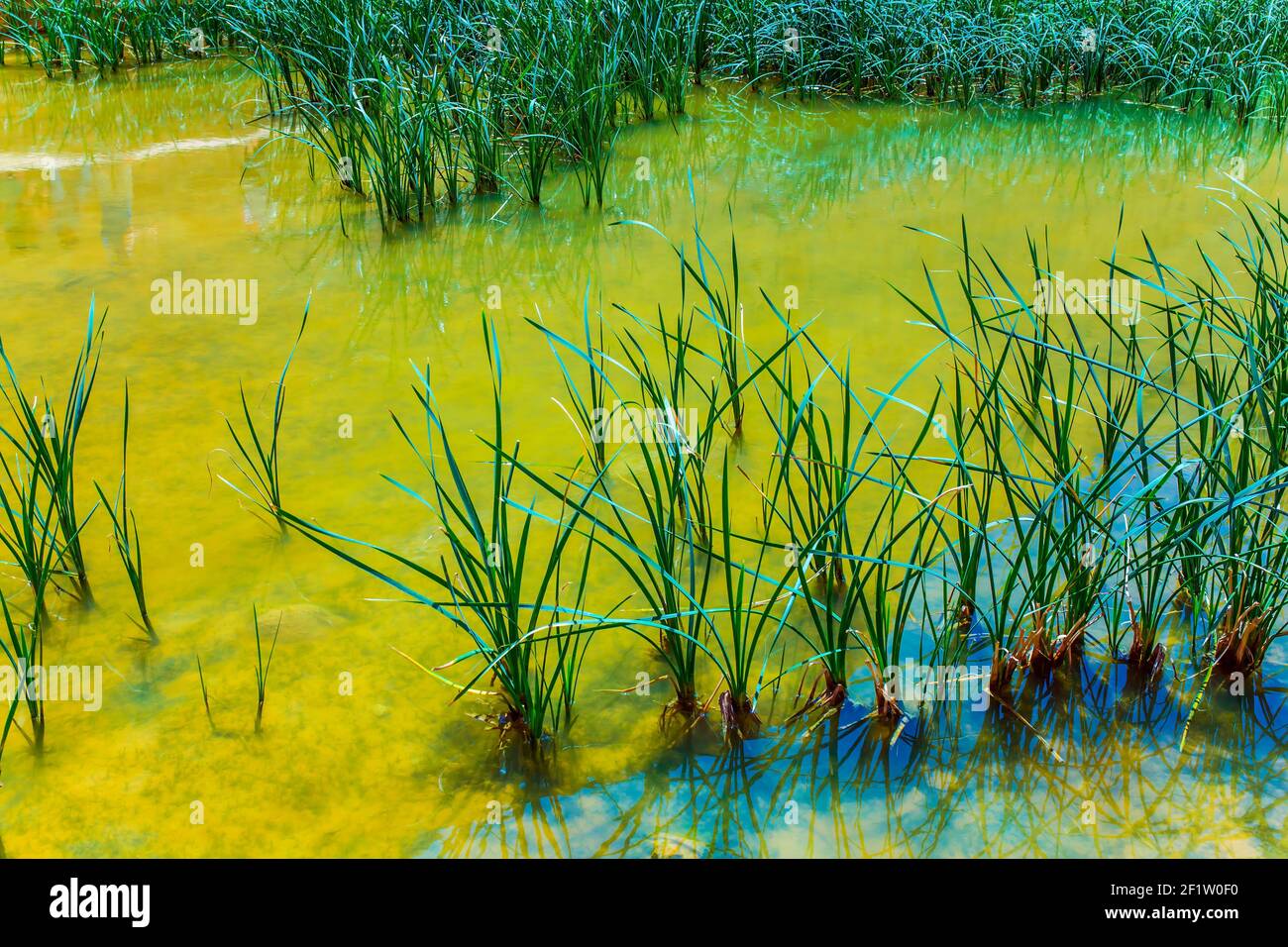 Cliff marsh hi-res stock photography and images - Alamy