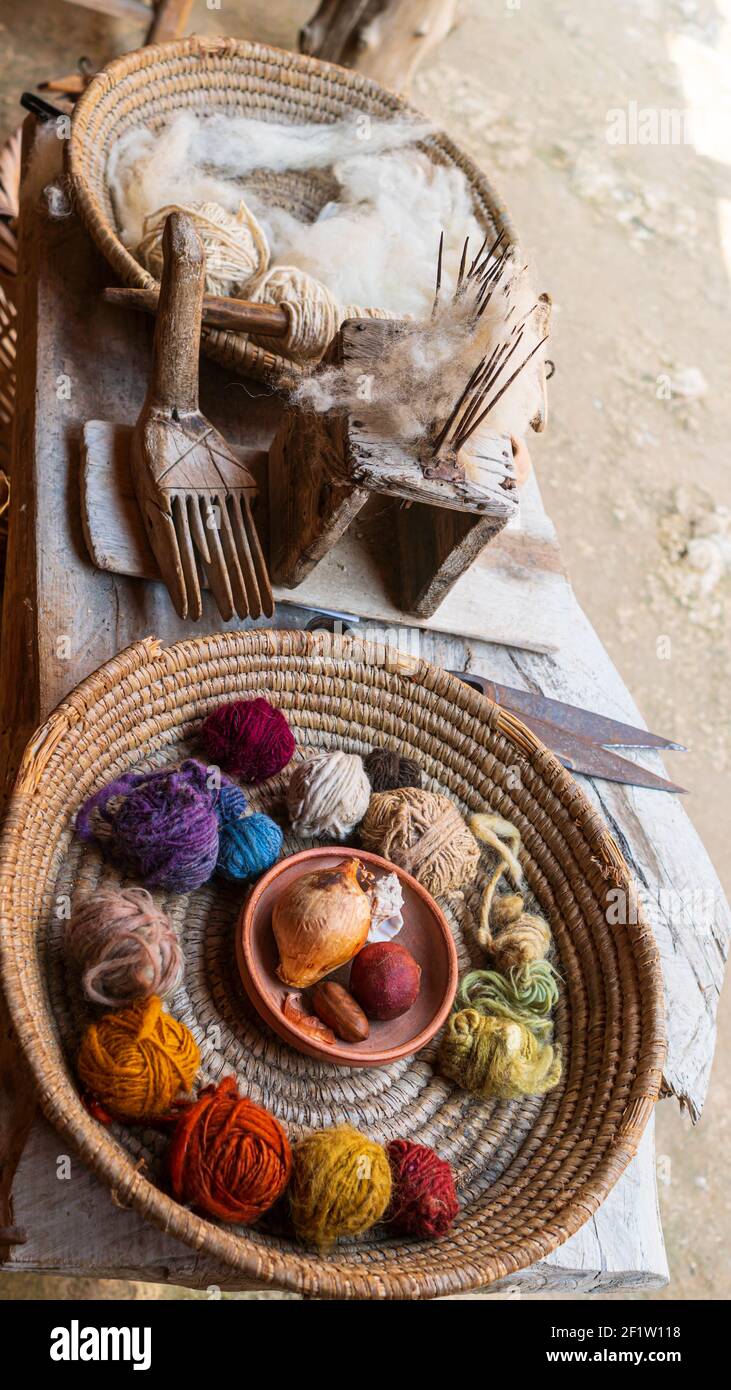 Dyed sheep hi-res stock photography and images - Alamy