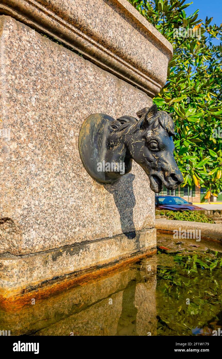 Animal drinking trough hi-res stock photography and images - Alamy