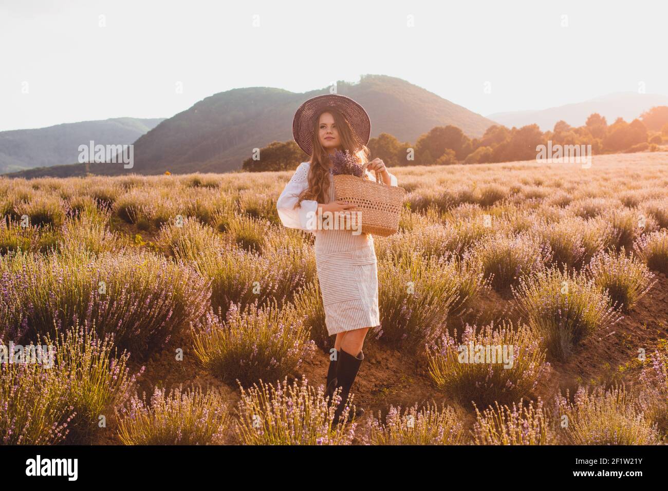 The extraordinary day on a lavender plantation Stock Photo - Alamy