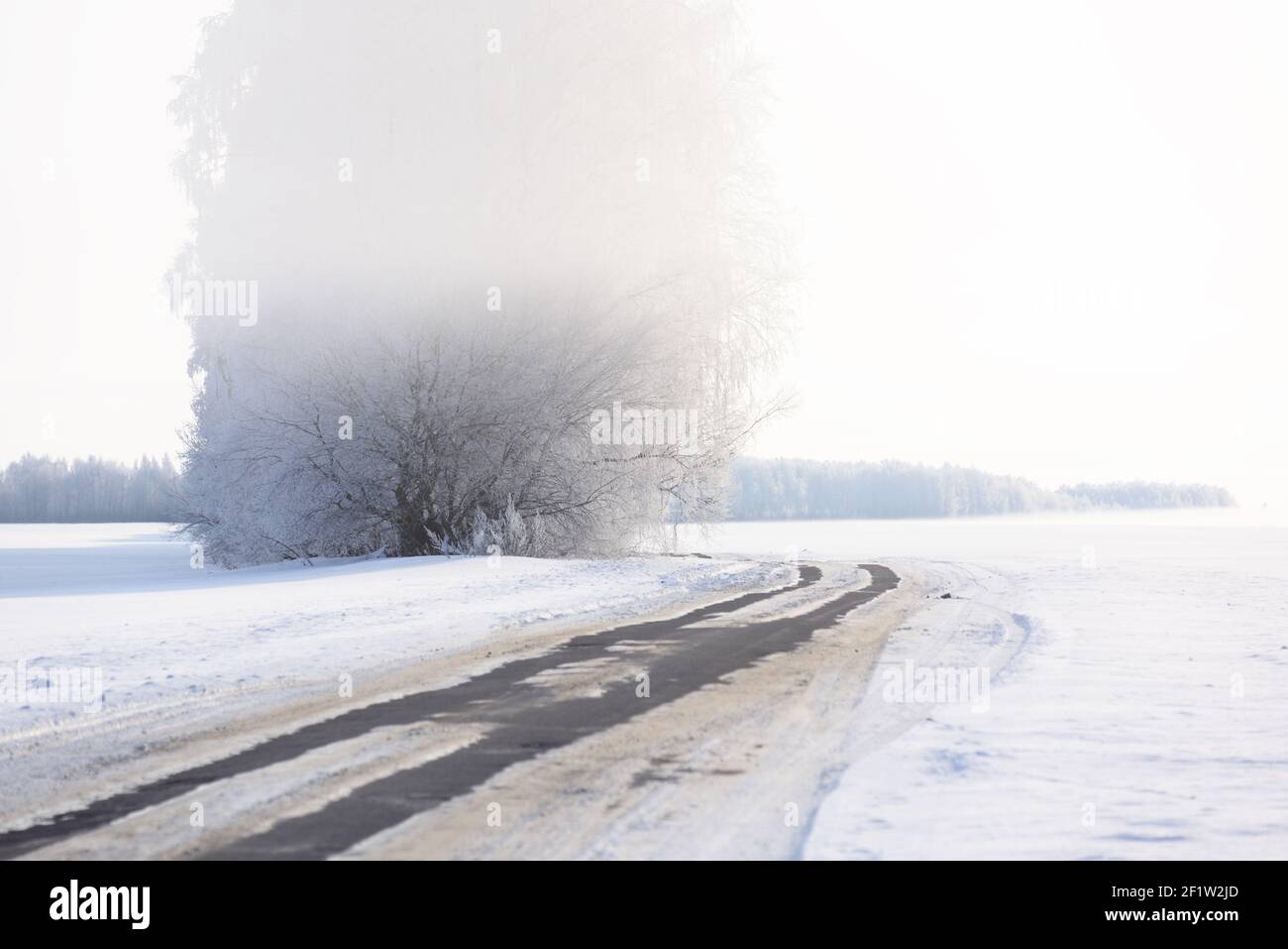 Snow winter landscape. Empty road, snow field and trees in hoarfrost ...