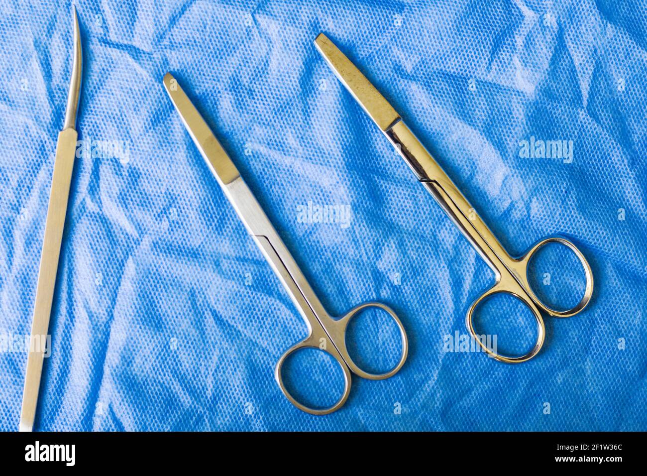 A top view of a sterile dissection kit on a blue surface in the ...