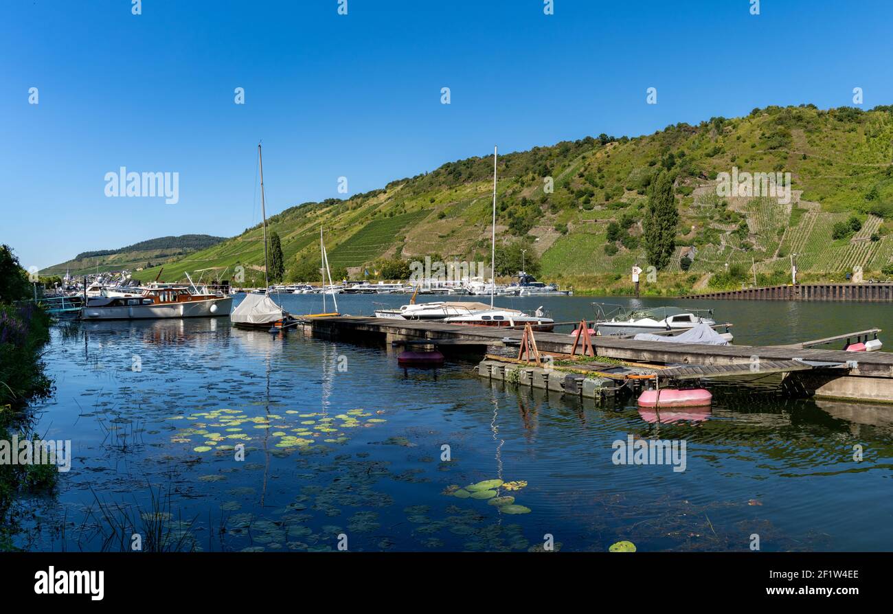 Enkirch moselle valley rhineland palatinate germany hi-res stock ...