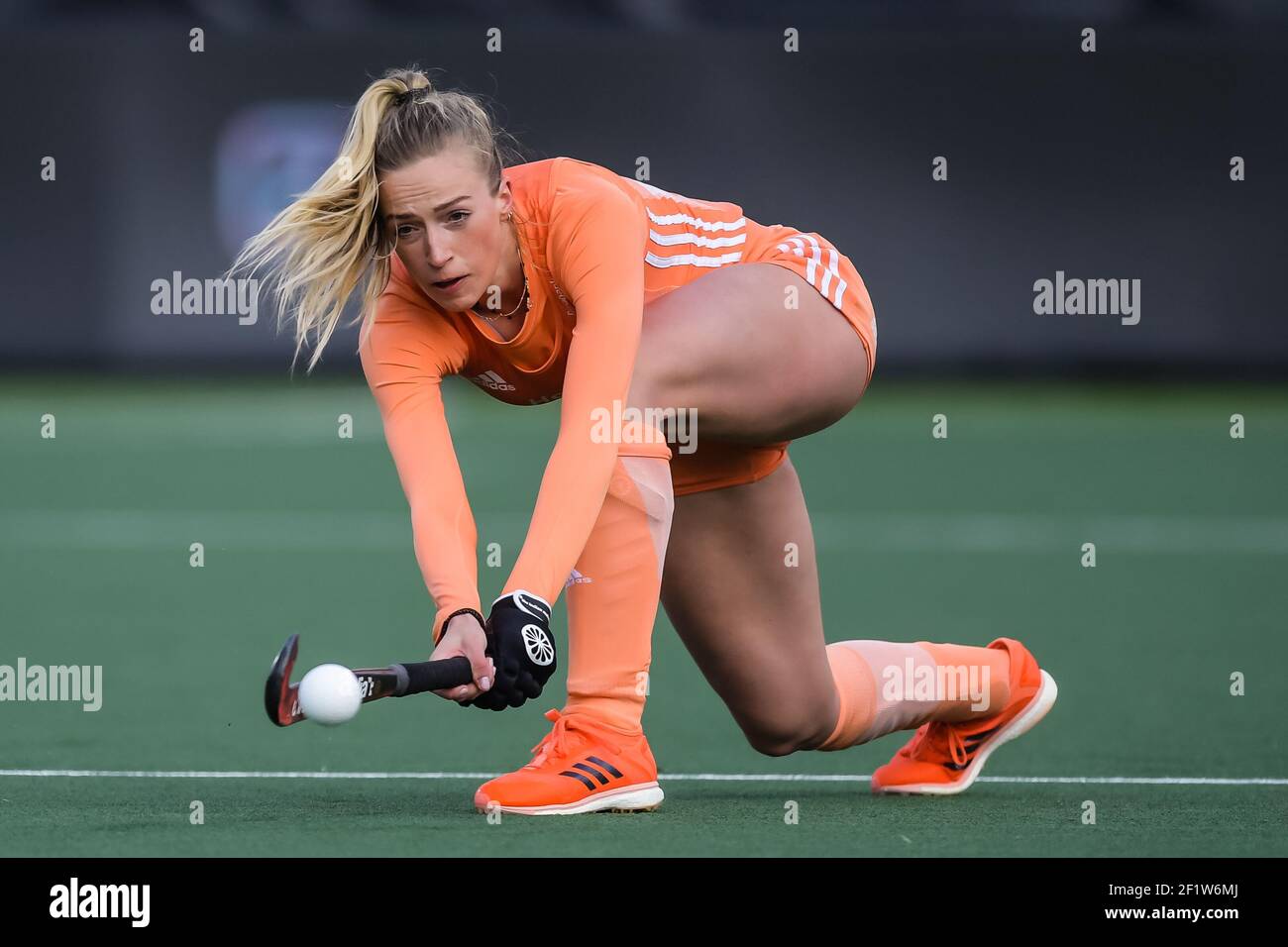 Sanne koolen hi-res stock photography and images - Alamy