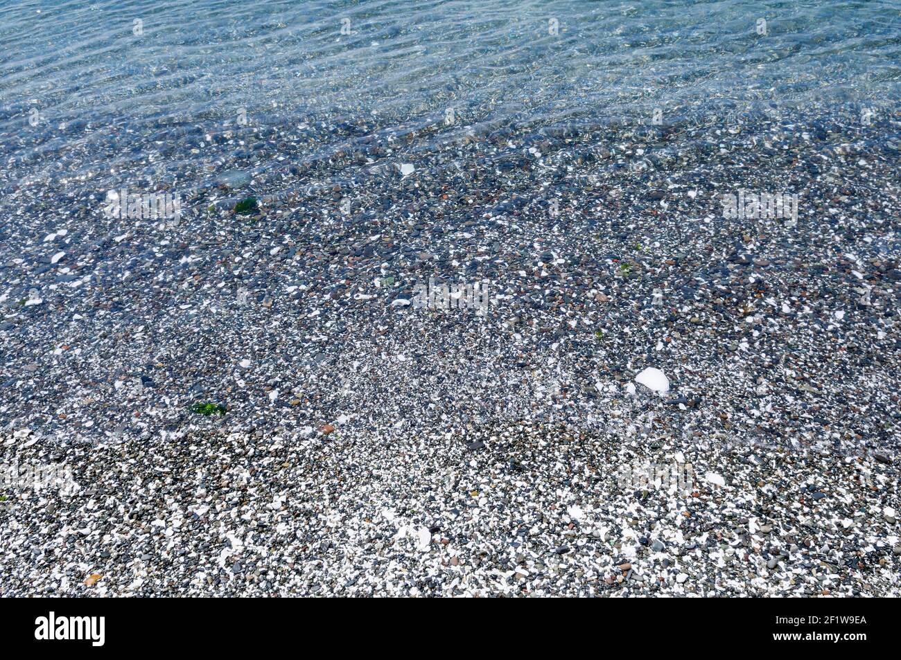 Shell bluff hi-res stock photography and images - Alamy