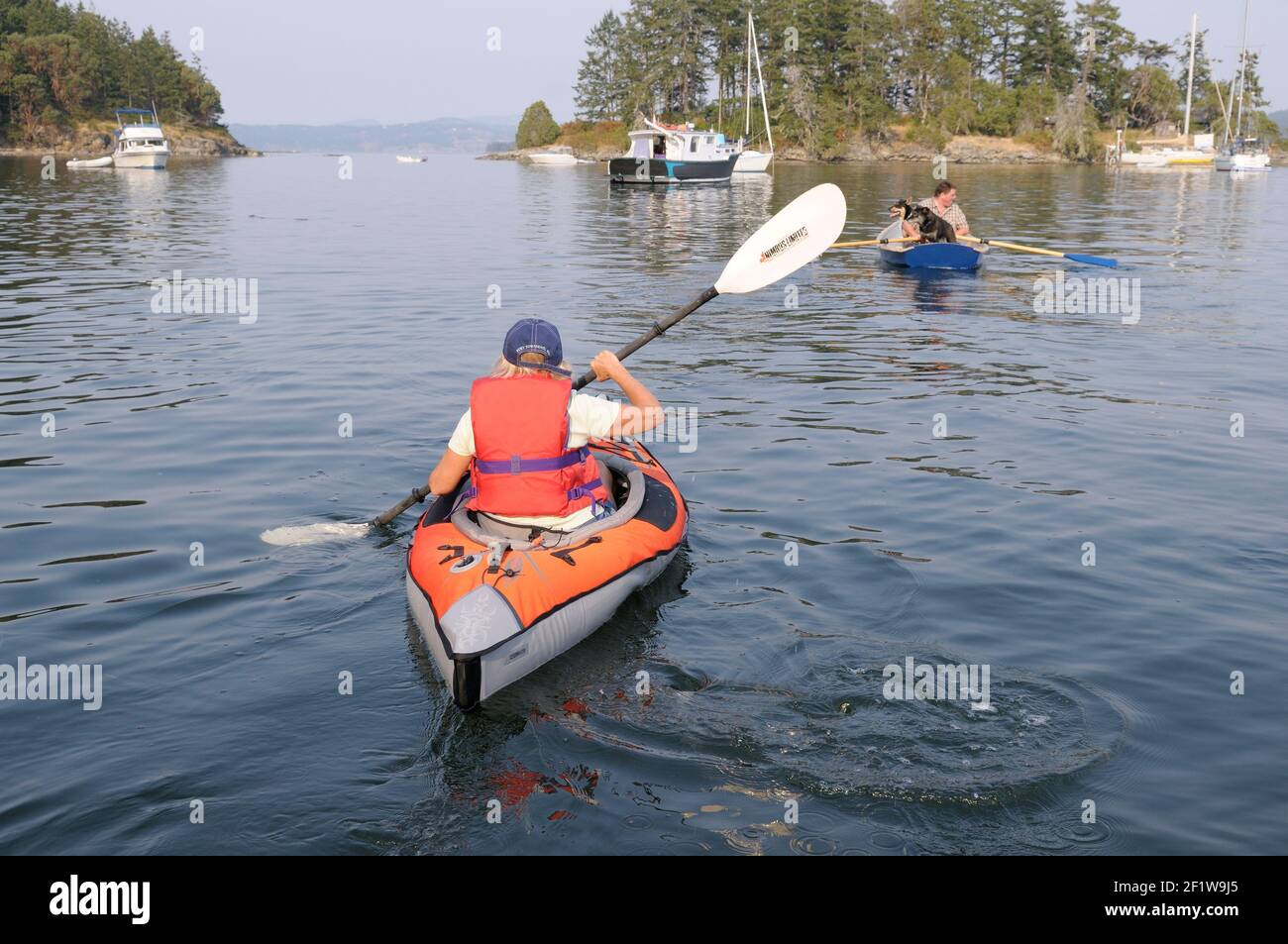 Woman paddling an inflatable kayak in Princess Bay, Portland Island ...
