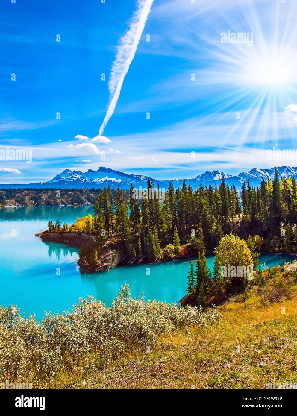 The forest surrounds the azure lake Stock Photo - Alamy