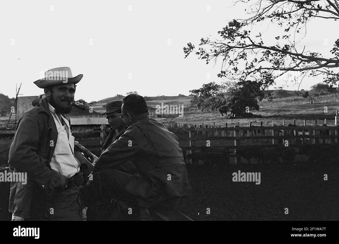 Men on a farm, Turiguano, Cuba, Ciego de avila (Cuba : Province ...