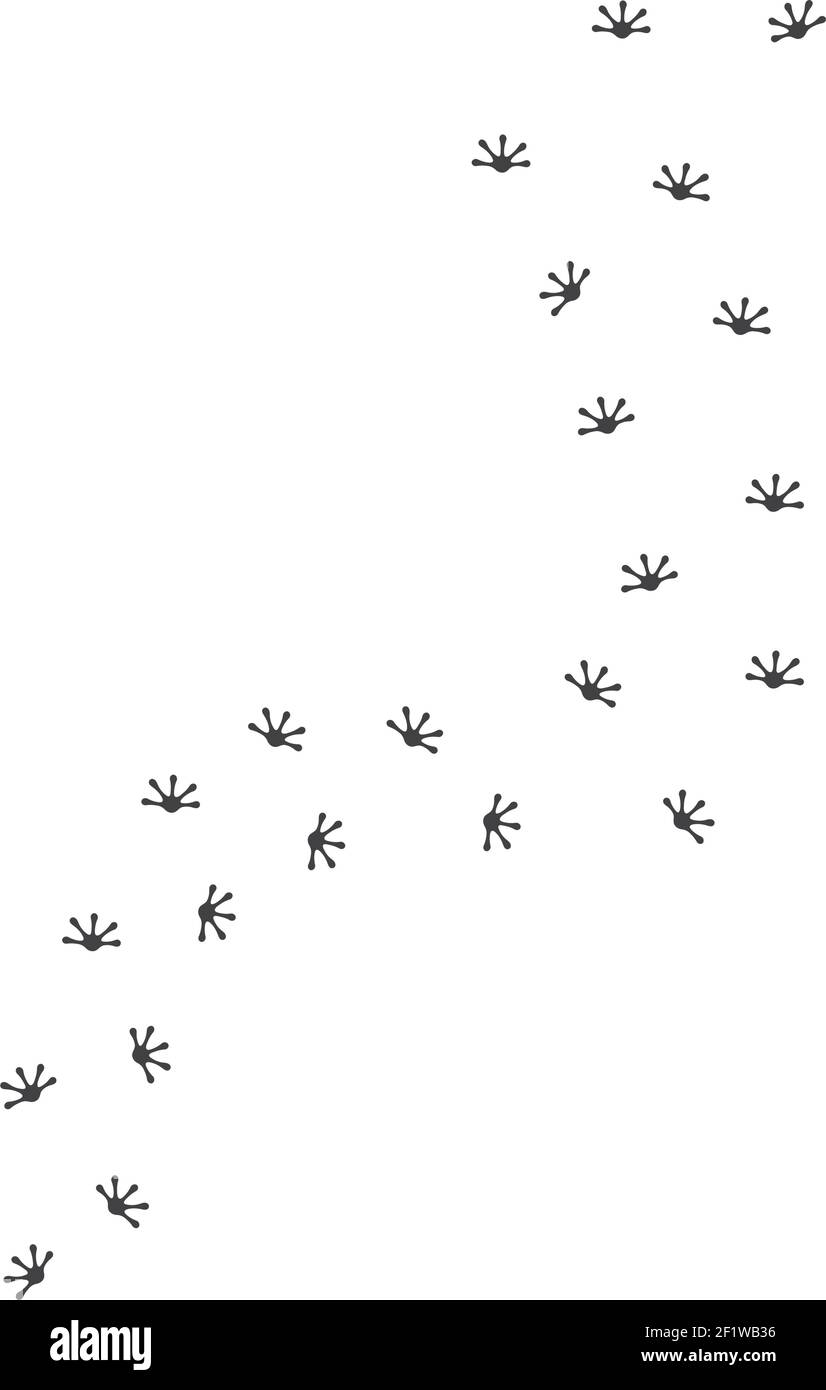 Lizard Footprint Clipart Images