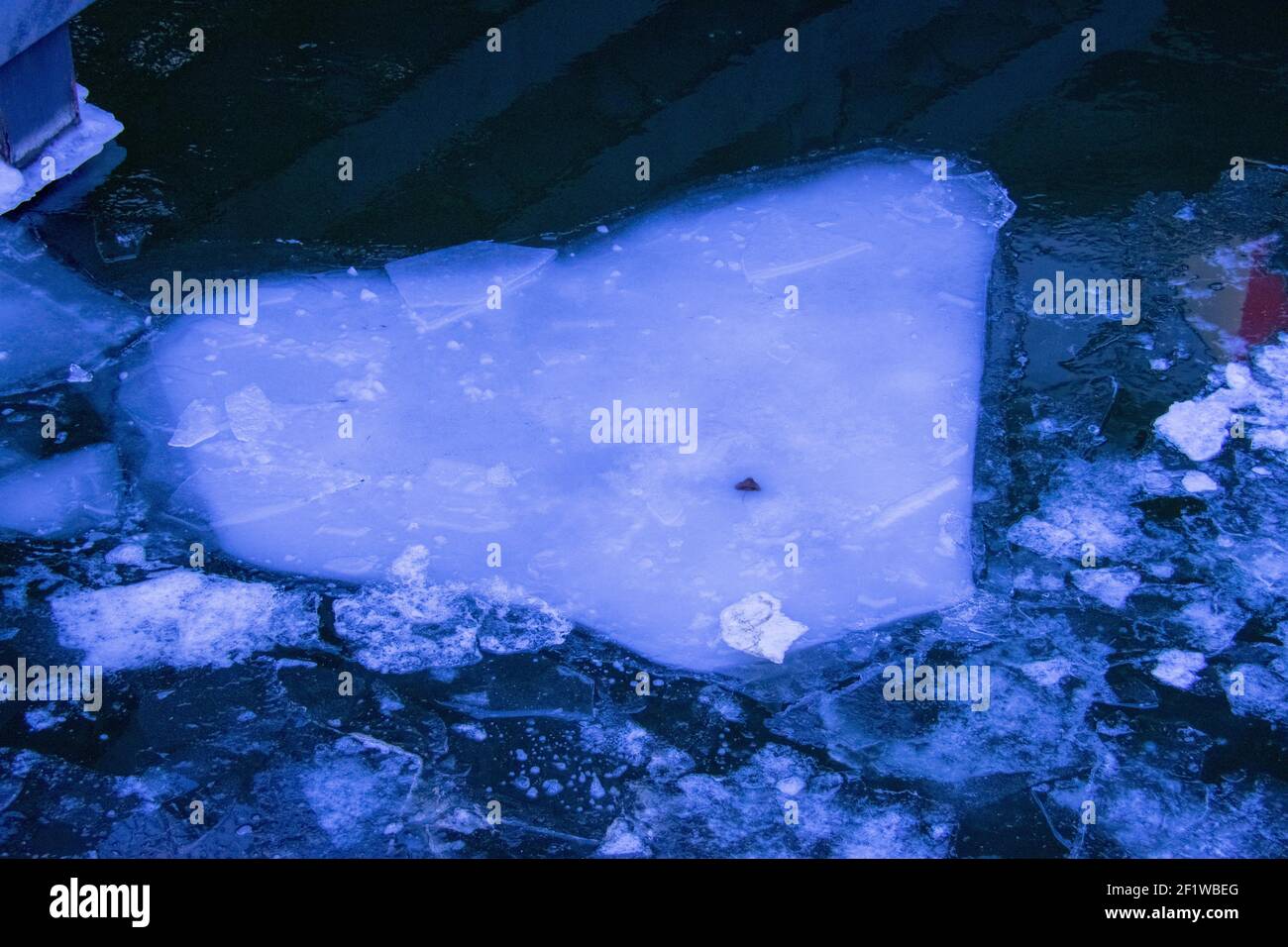 Ice floating in the Spree river during 2021 Winter Mitte Stock Photo ...