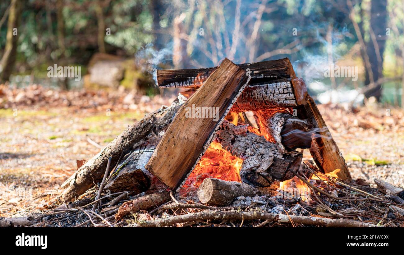 bonfire lit with sticks and driftwood in the field Stock Photo - Alamy