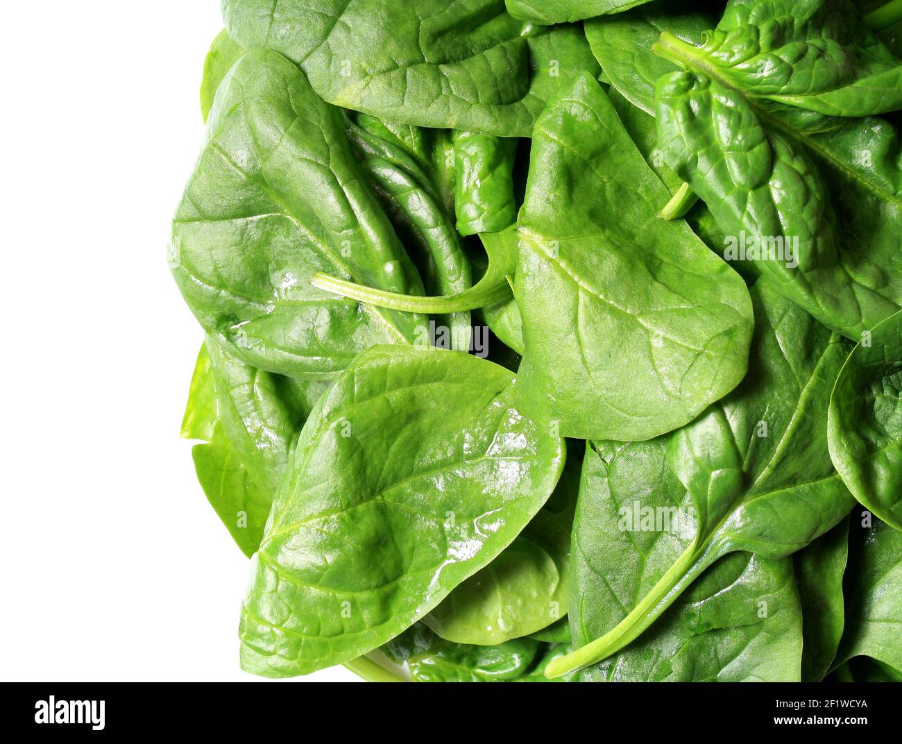 Wet fresh spinach cooking hi-res stock photography and images - Alamy