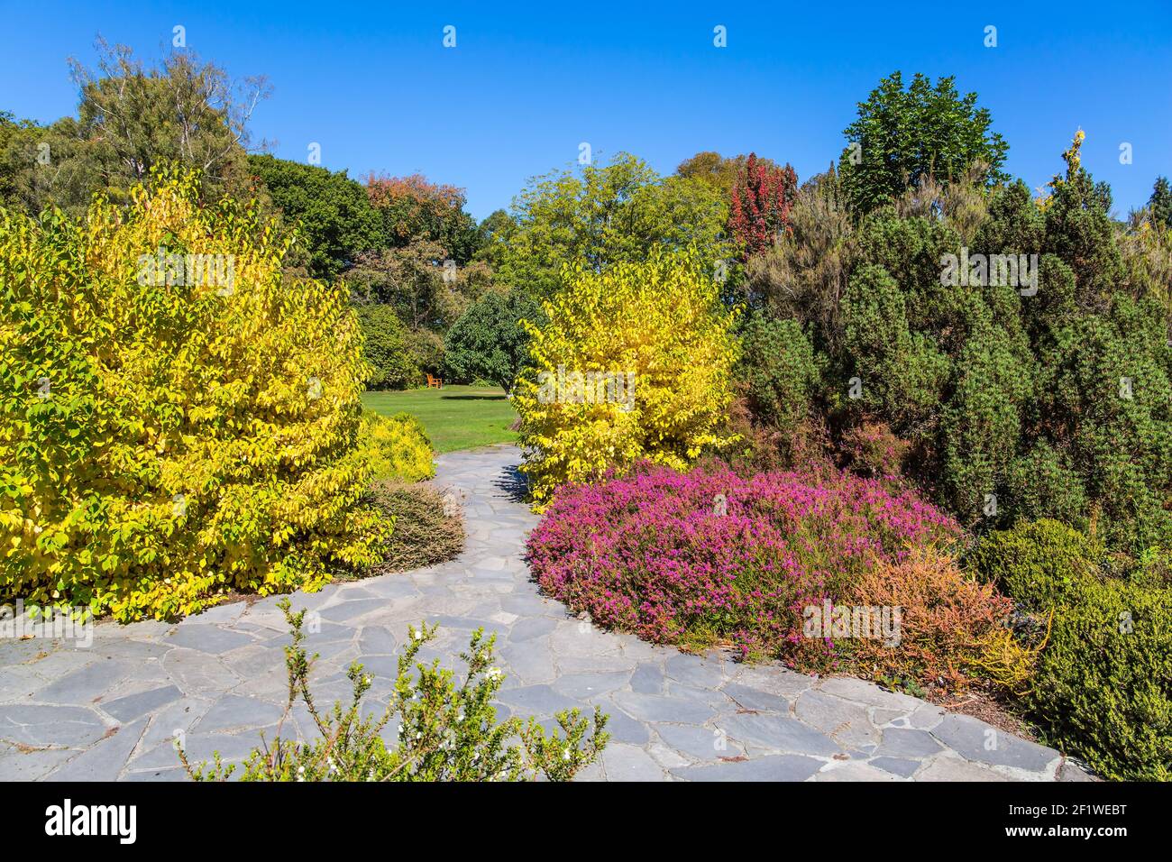 .Beautiful meadow, illuminated by the sun Stock Photo - Alamy