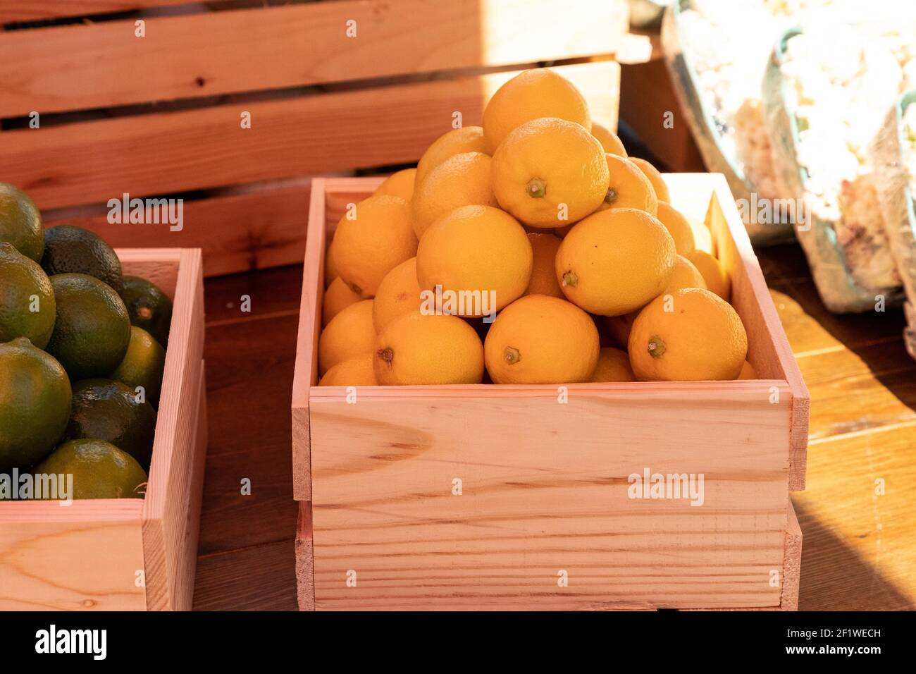 Citrus farmers in florida hi-res stock photography and images - Alamy