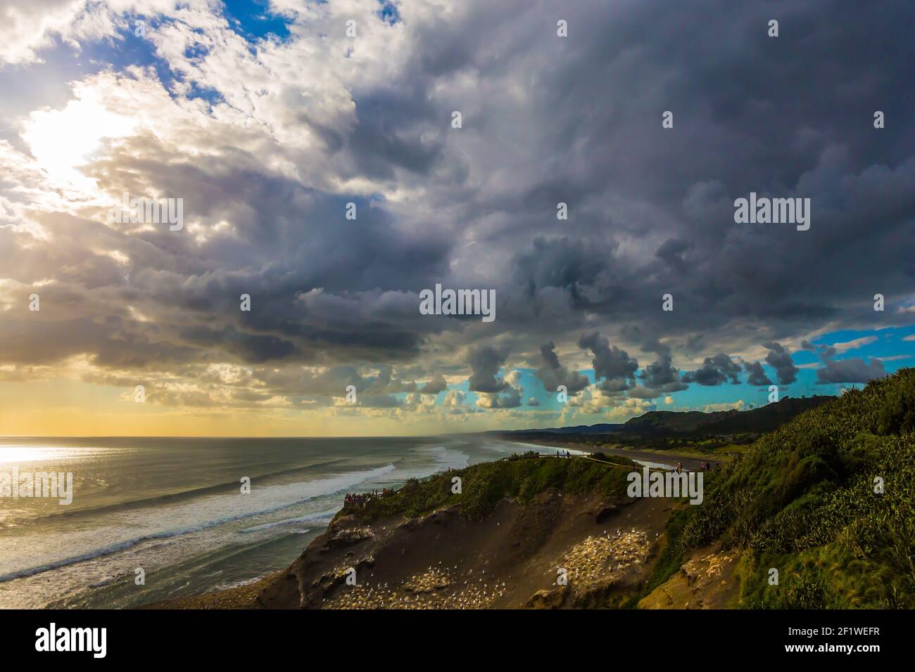 Beautiful coast of the North Island Stock Photo - Alamy