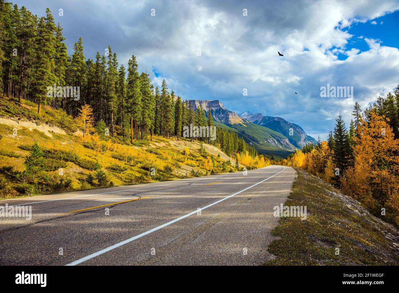 Automotive highway hi-res stock photography and images - Alamy