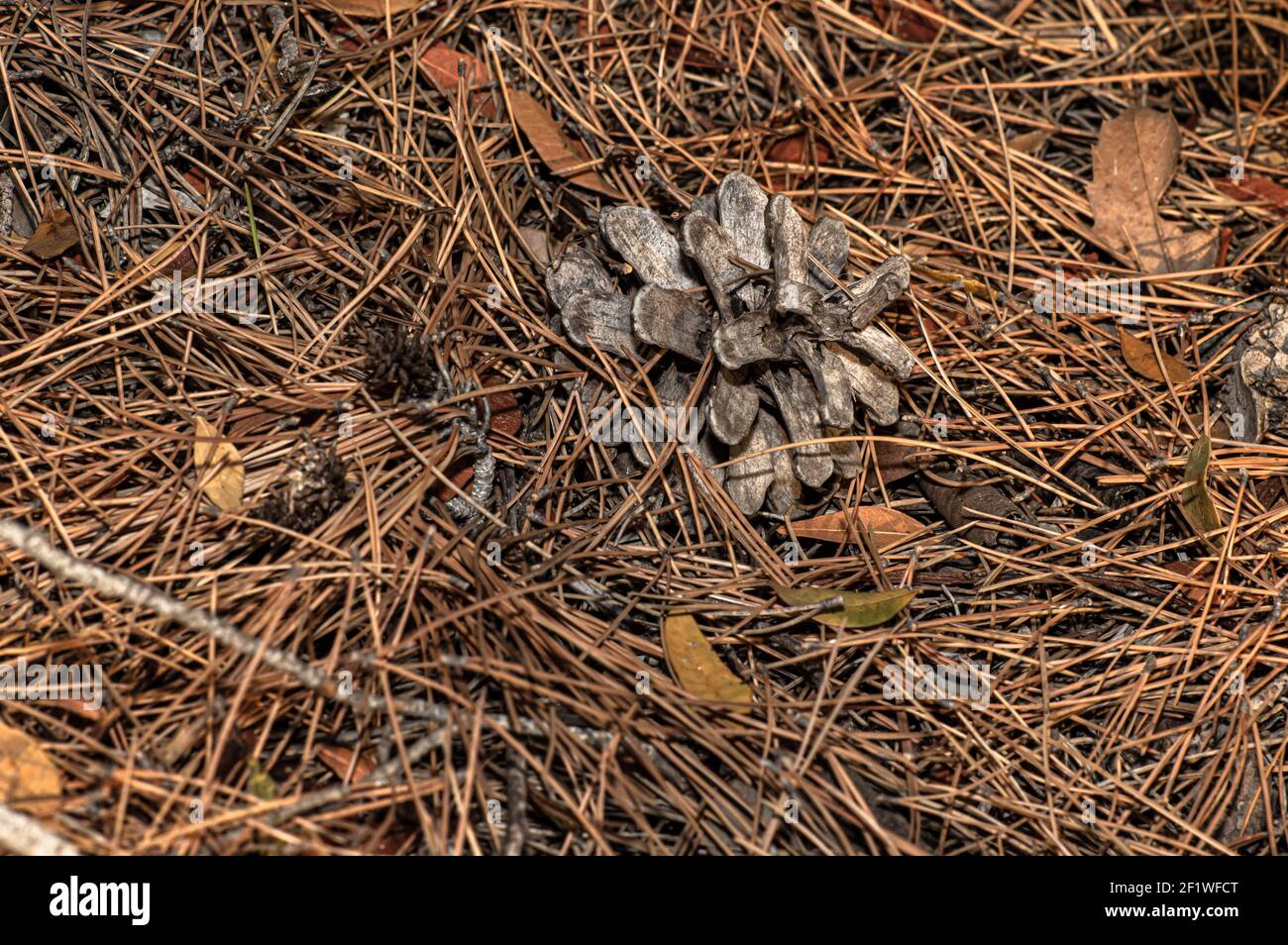 Photography background texture hi-res stock photography and images - Alamy
