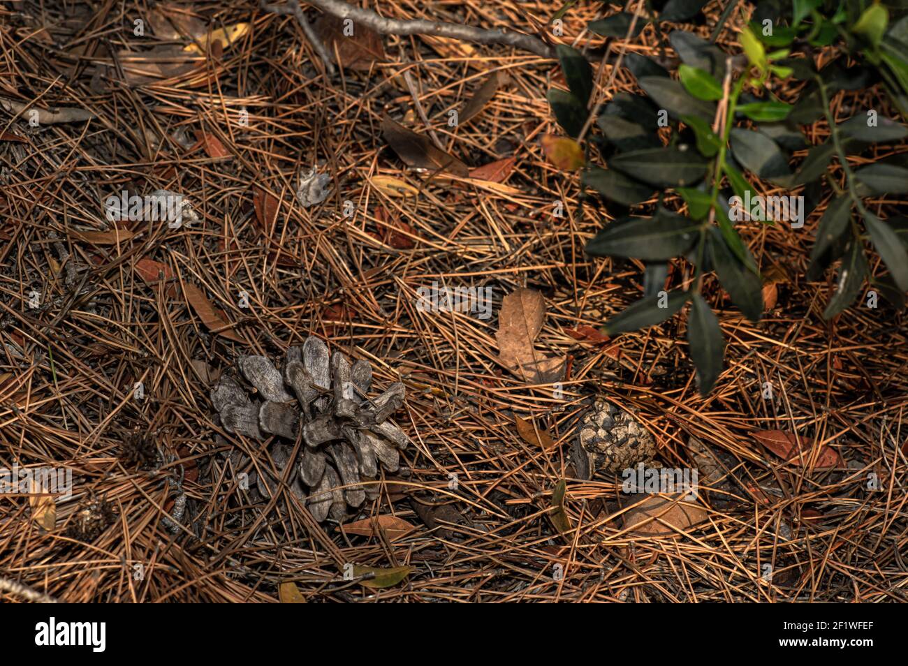 Photography background texture hi-res stock photography and images - Alamy
