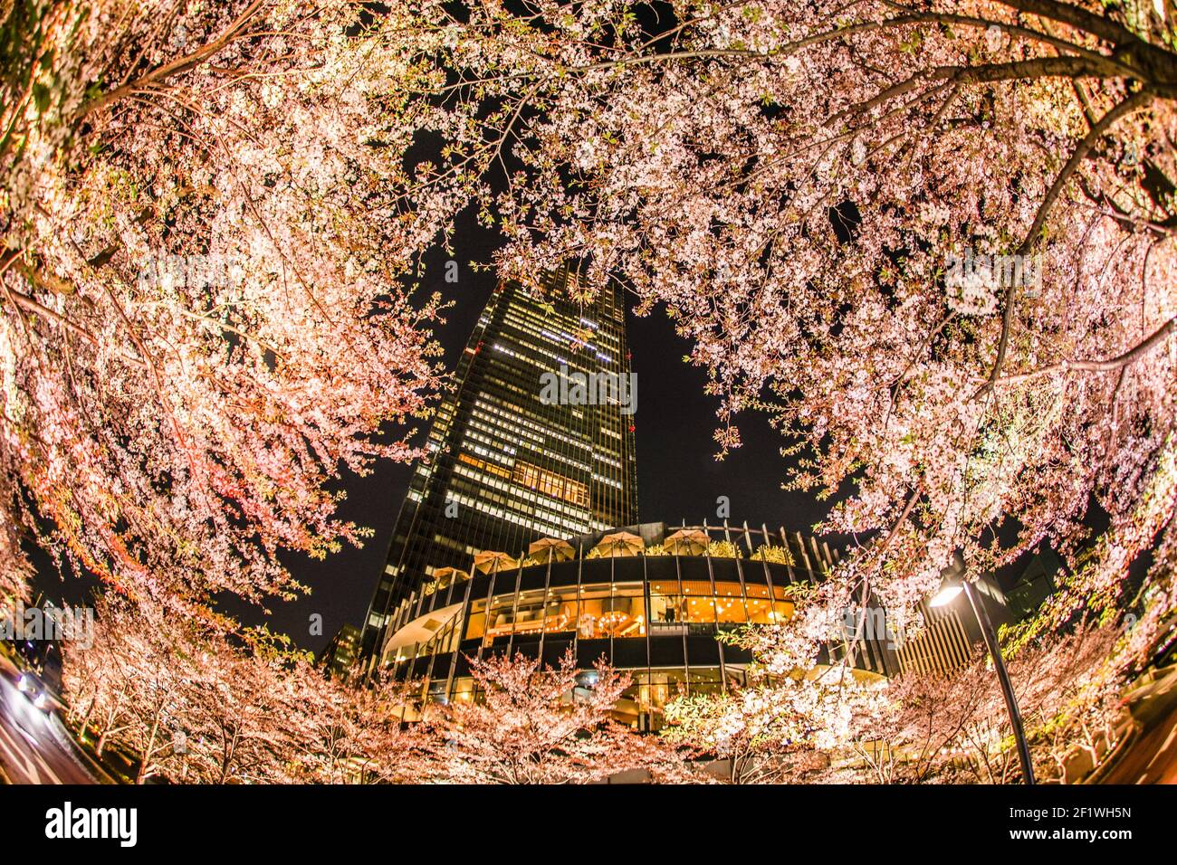 Tokyo Buildings Up Close High Resolution Stock Photography and Images ...