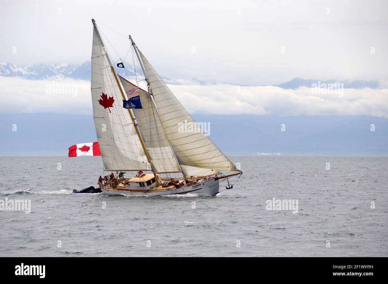 The schooner Maple Leaf was built in 1904 at Vancouver Shipyard ...