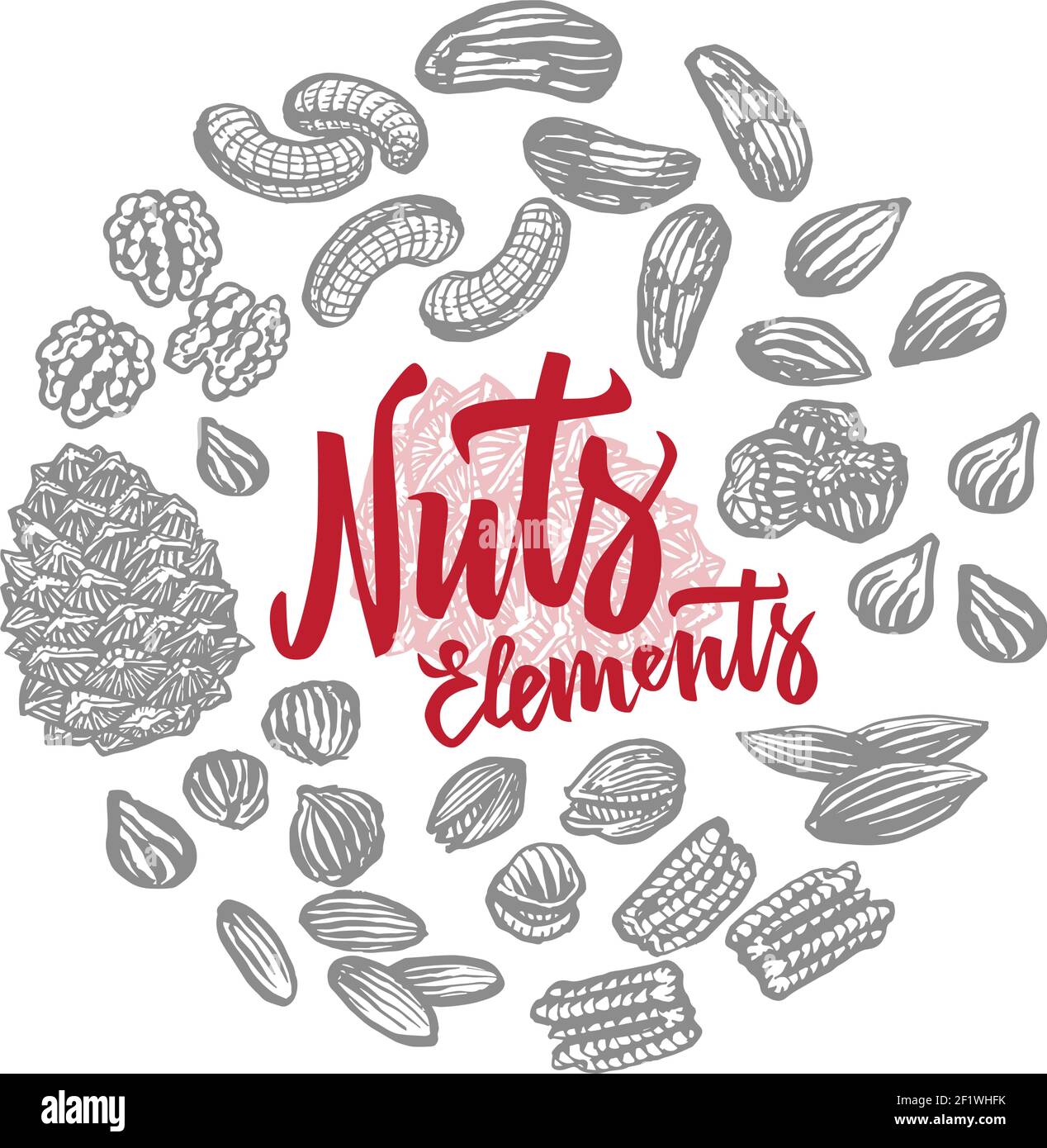 Sketch nuts elements round composition with brazil peanut almond walnut ...