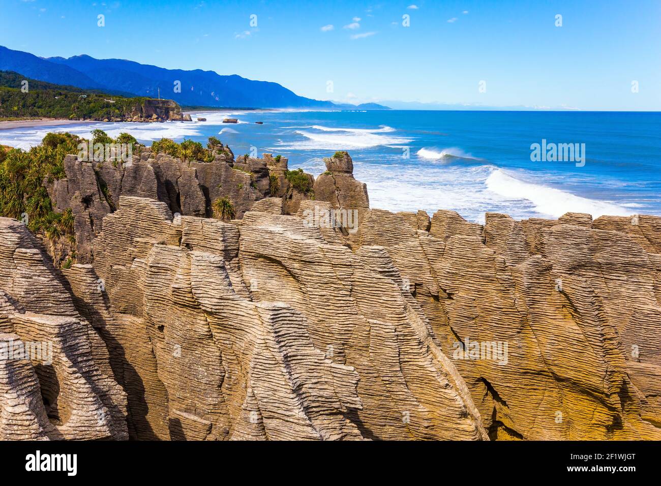 New Zealand. Paparoa Park Stock Photo - Alamy
