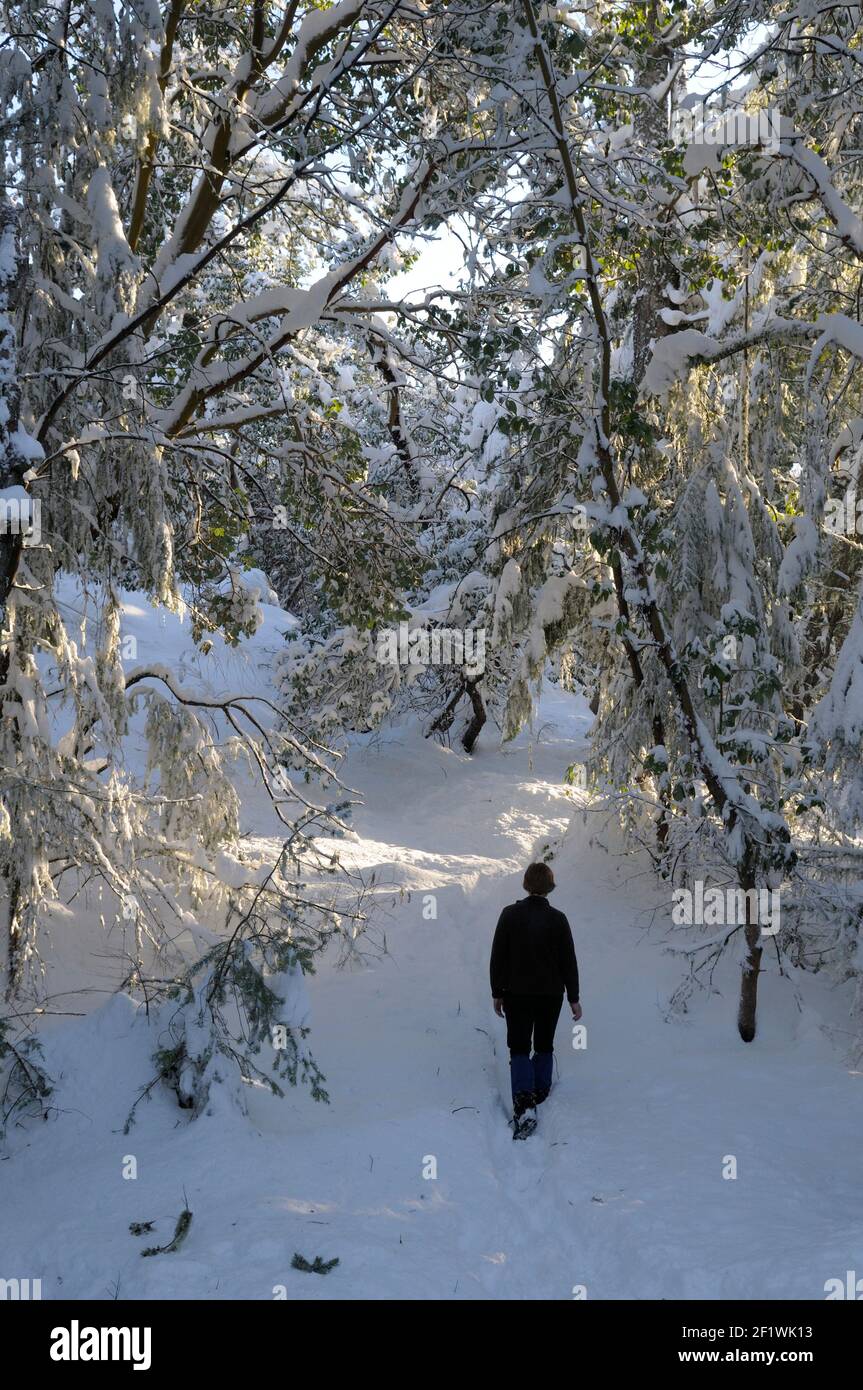 Mount work canada hi-res stock photography and images - Alamy