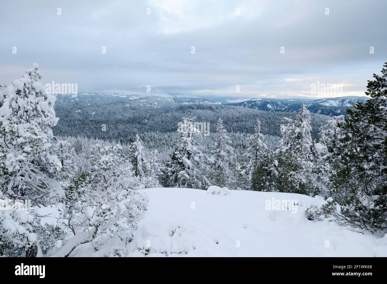 Mount Work Regional Park, Victoria, British Columbia, Canada Stock ...