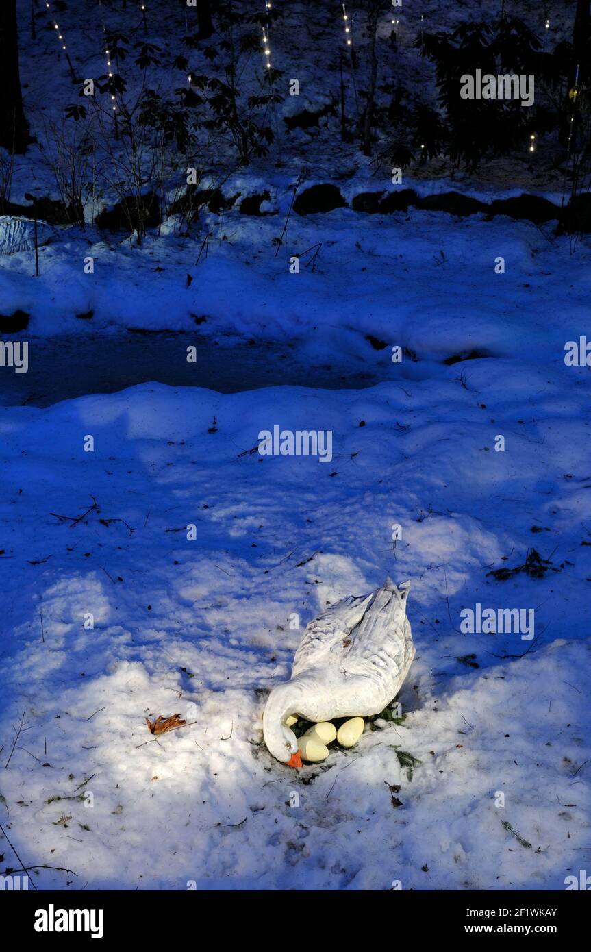 Six geese a laying laying hi-res stock photography and images - Alamy