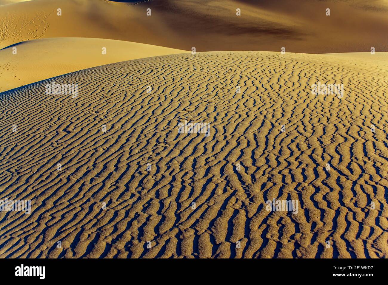 The gentle slopes of the sand dunes Stock Photo - Alamy