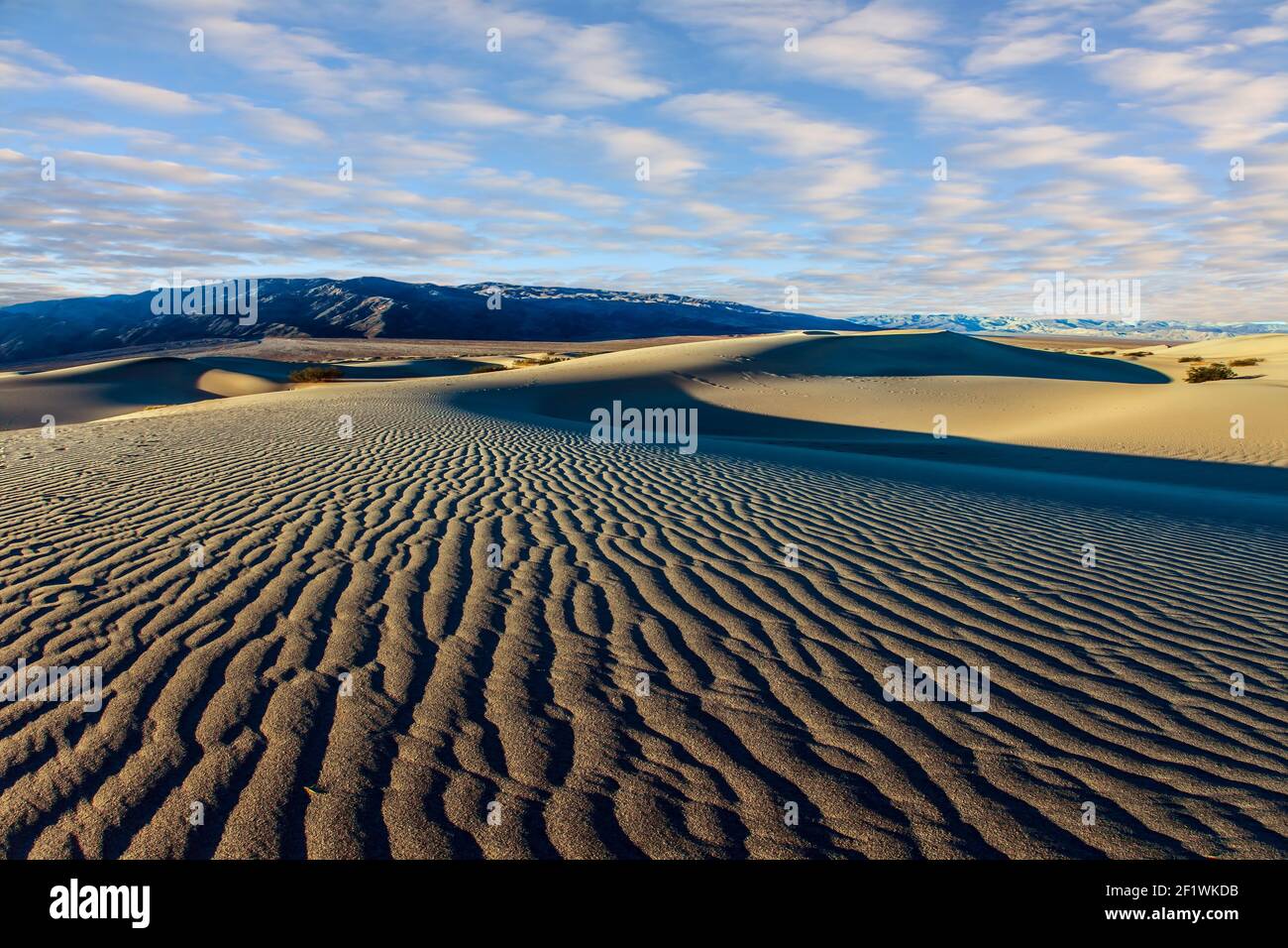 The gentle slopes of the sand dunes Stock Photo - Alamy
